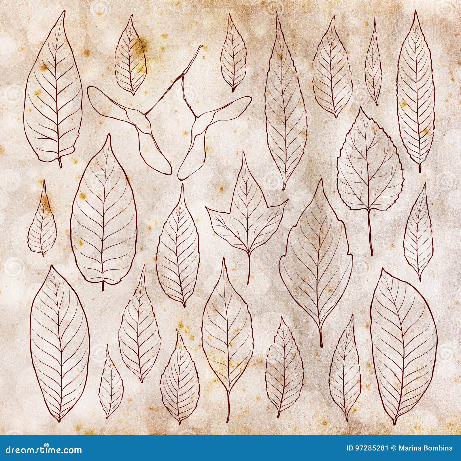 Leaves Outline Set on Vintage Old Paper Background Stock Image - Image ...