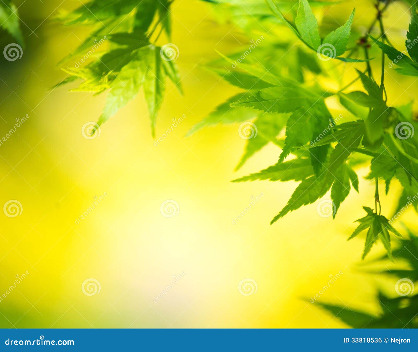 Leaves stock photo. Image of freshness, blurred, growth - 33818536