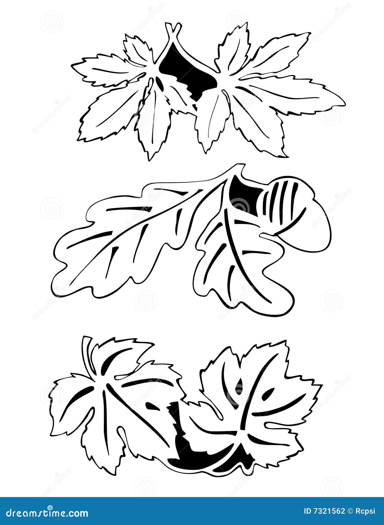 Leaves in pair - outline stock vector. Illustration of background - 7321562