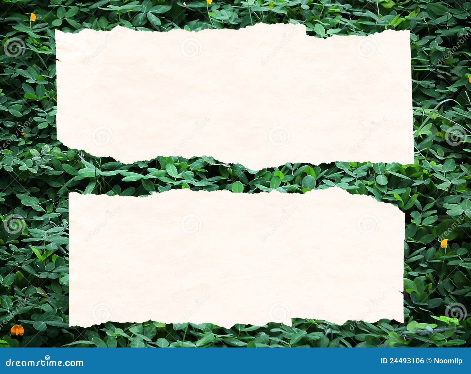 Leaves paper background stock photo. Image of background - 24493106