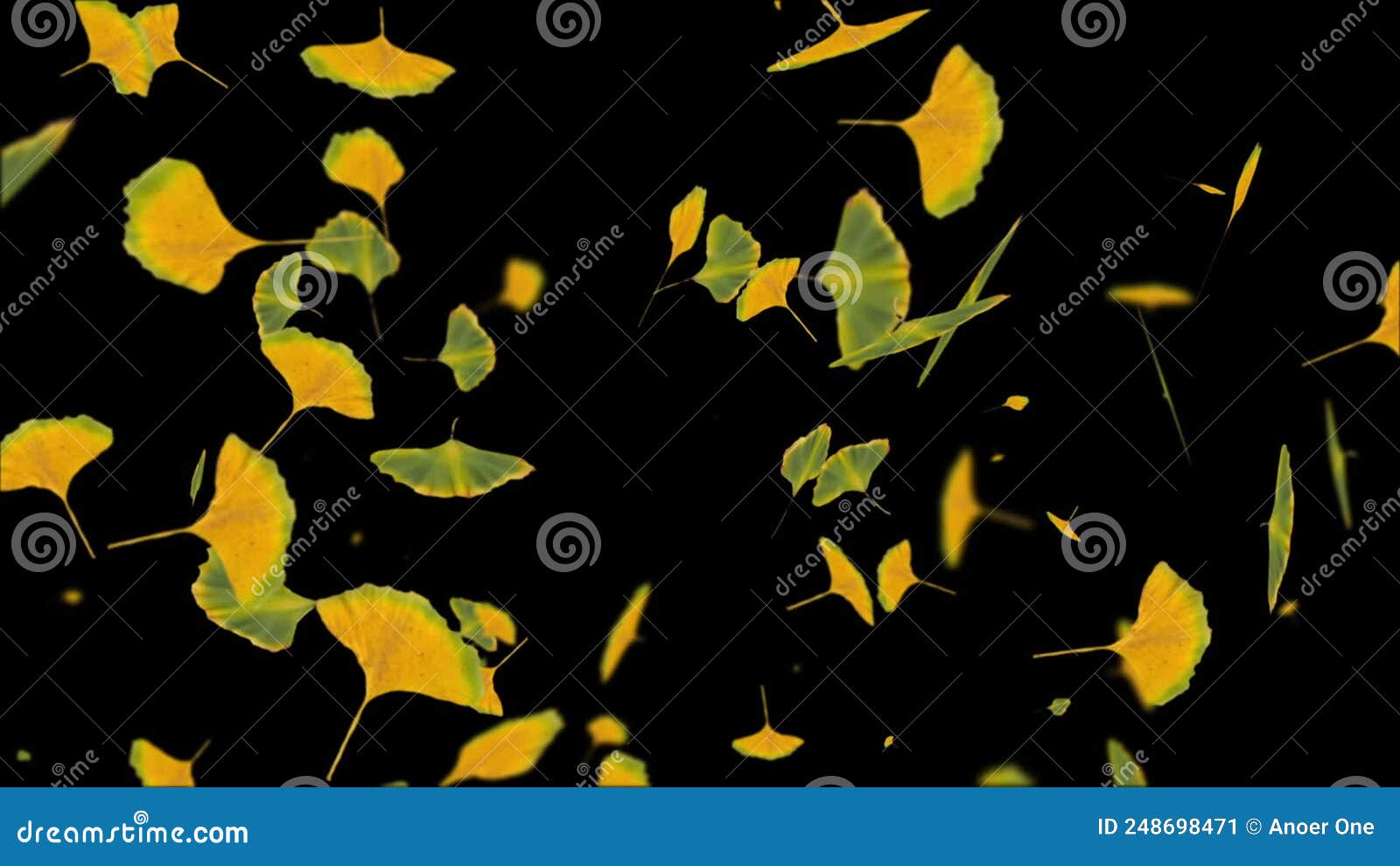 Leaves Particle Effect Loop Animation Stock Video - Video of green ...