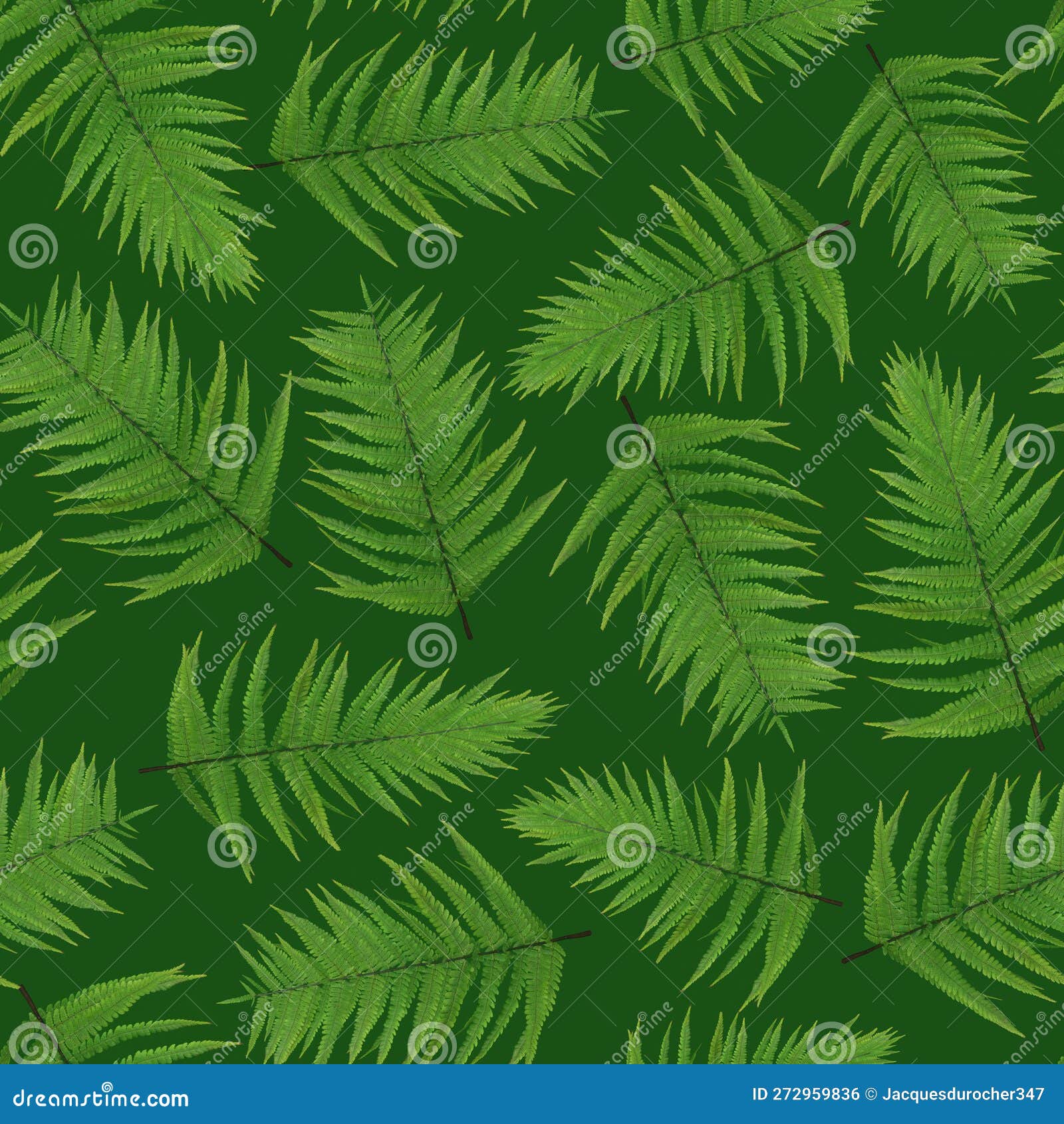 Leaves Pattern Green Vegetation Fern Foliage Wrap Around Seamless ...