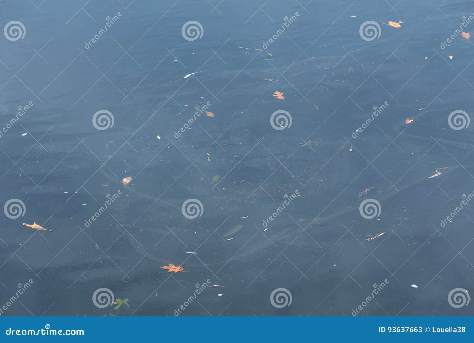 Leaves and Pollen Floating on Deep Water Stock Image - Image of deep ...