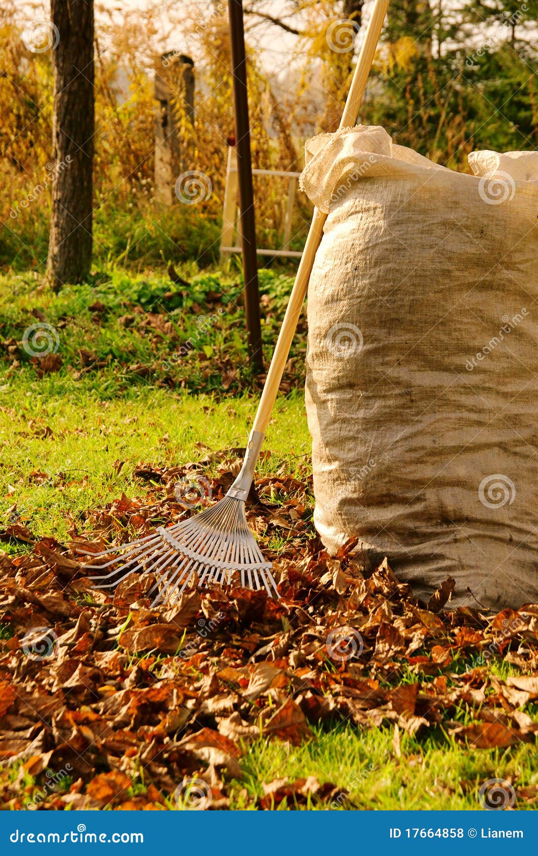 Leaves rake stock photo. Image of pile, season, green - 17664858