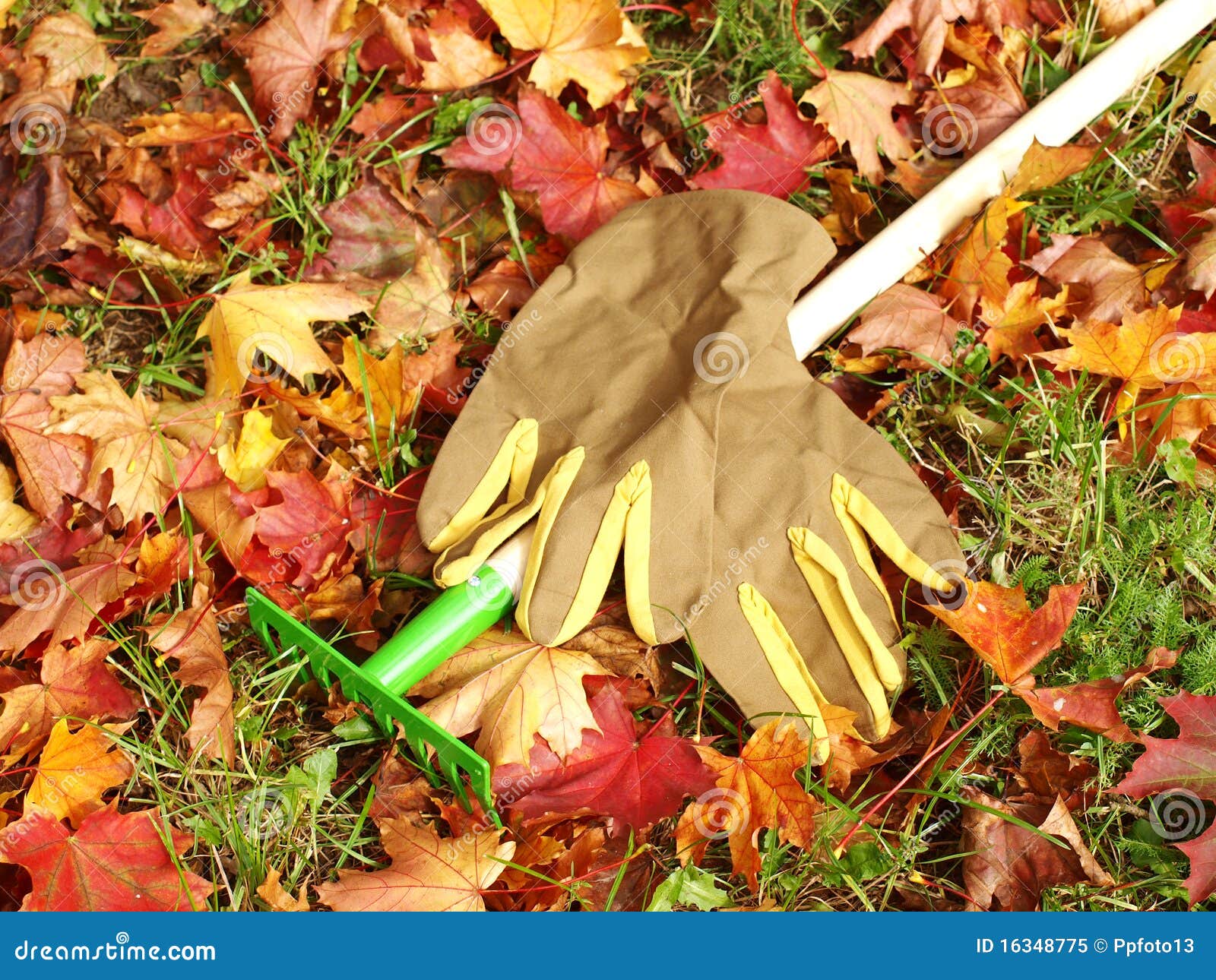 Leaves, Rakes and Gardening Gloves Stock Image - Image of work, fall ...