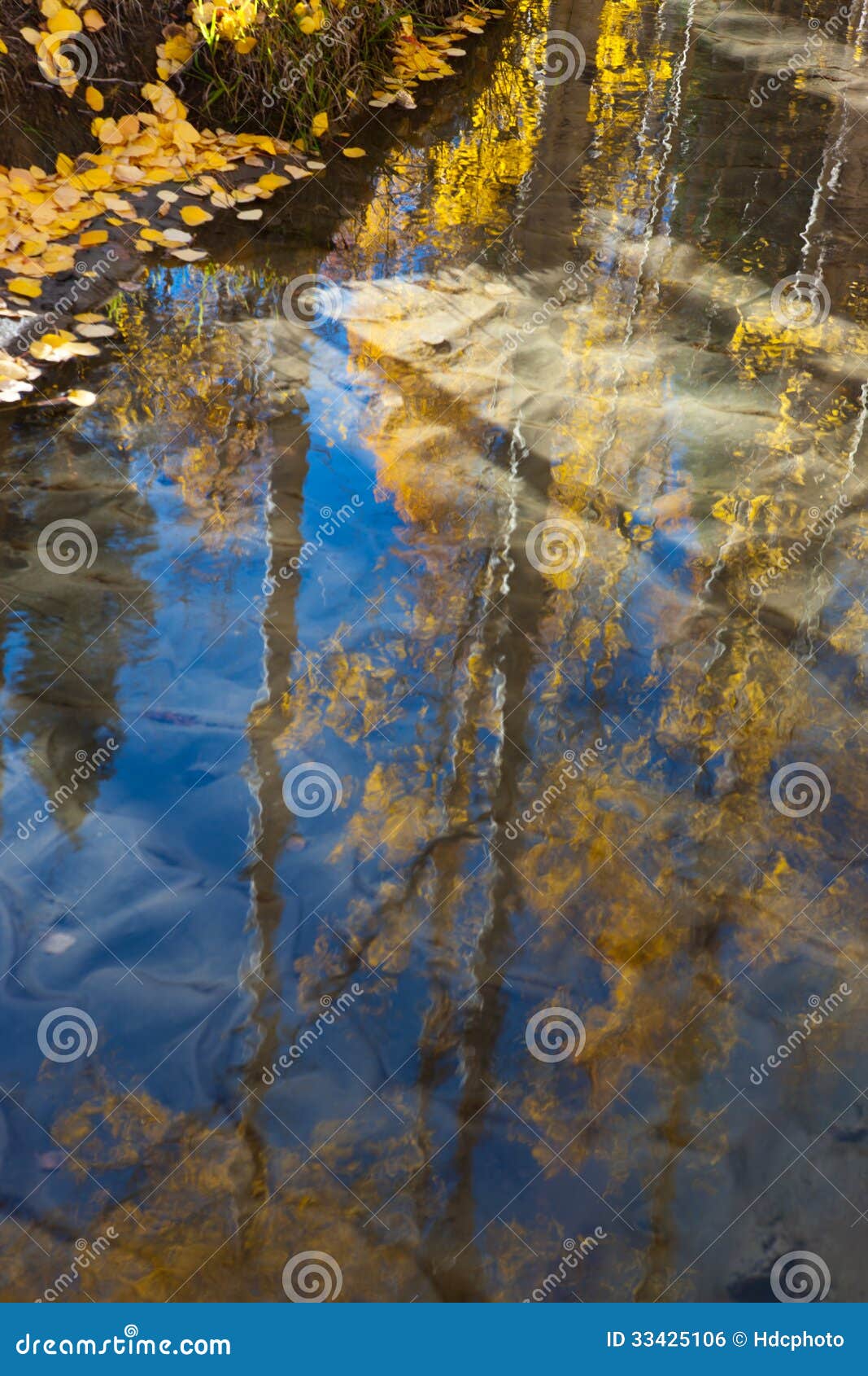 Leaves Reflection stock photo. Image of beauty, juan - 33425106