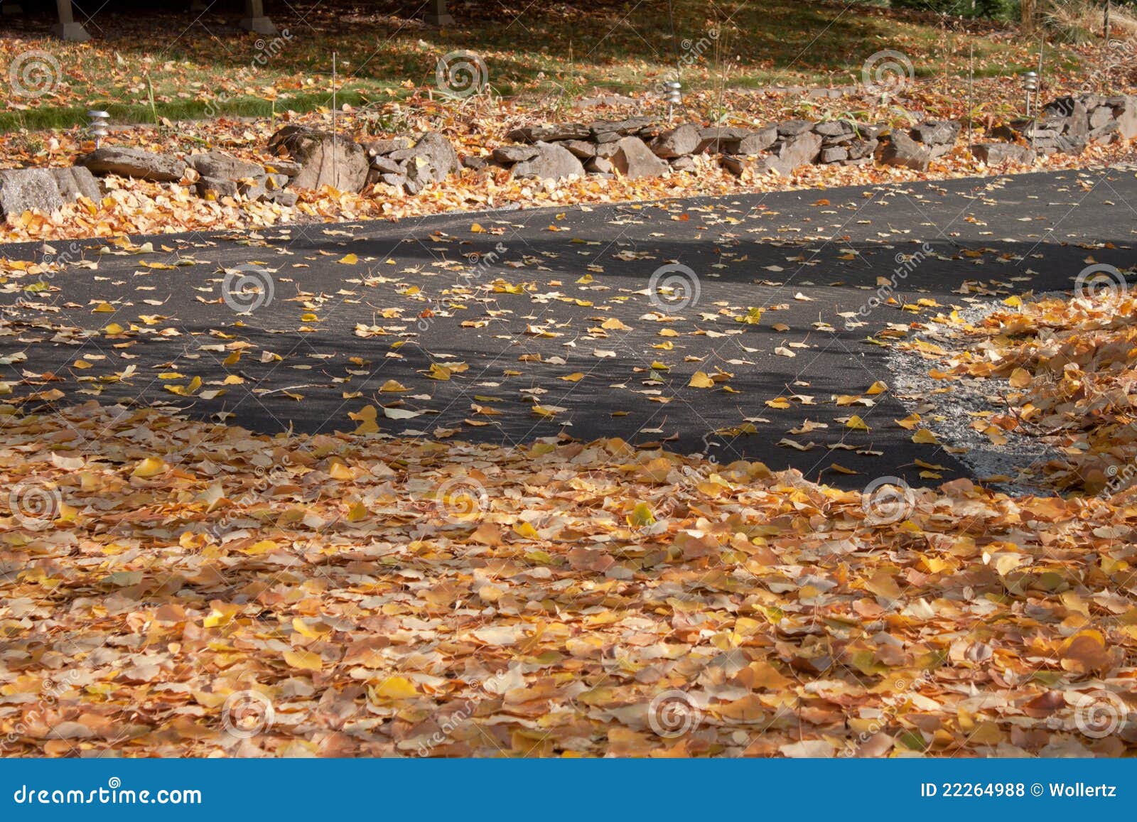 Leaves on the road stock photo. Image of drive, coverage - 22264988