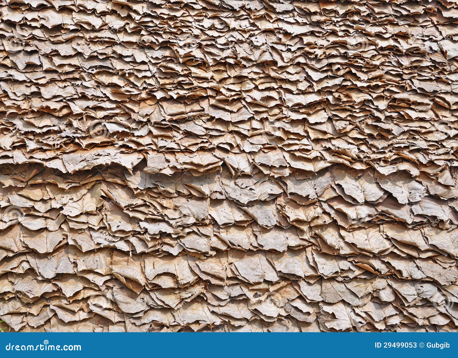Leaves roof stock image. Image of nature, surface, leave - 29499053