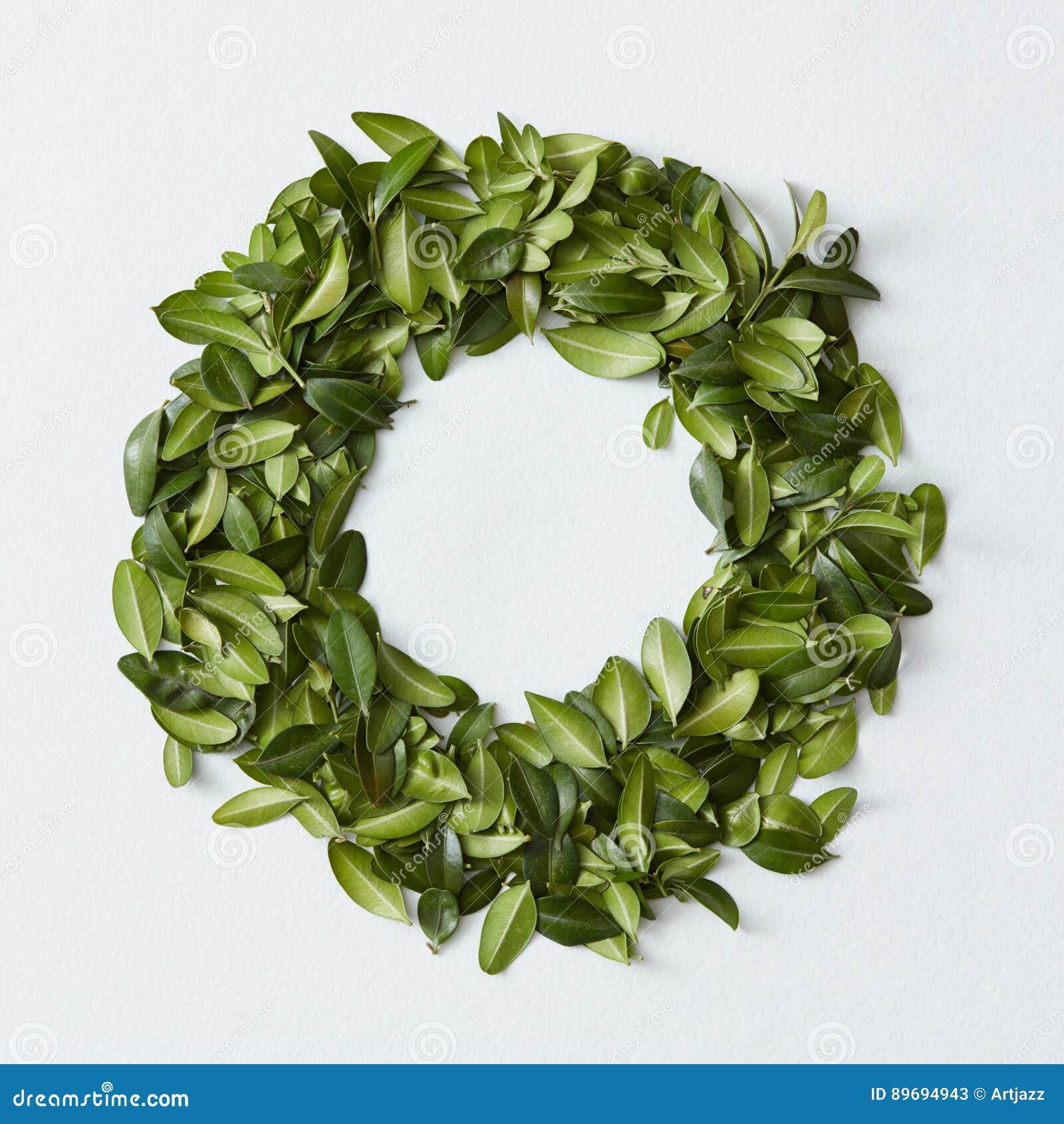 Leaves in round shape stock image. Image of foliage, freshness - 89694943
