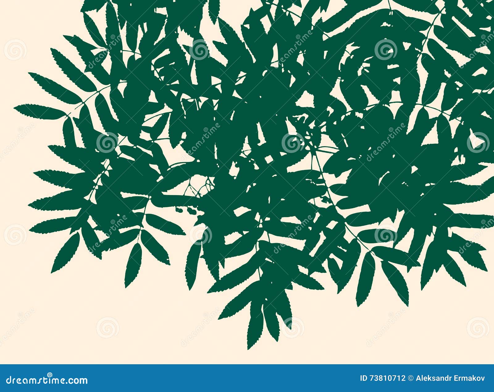 Leaves of a rowan tree stock vector. Illustration of design - 73810712