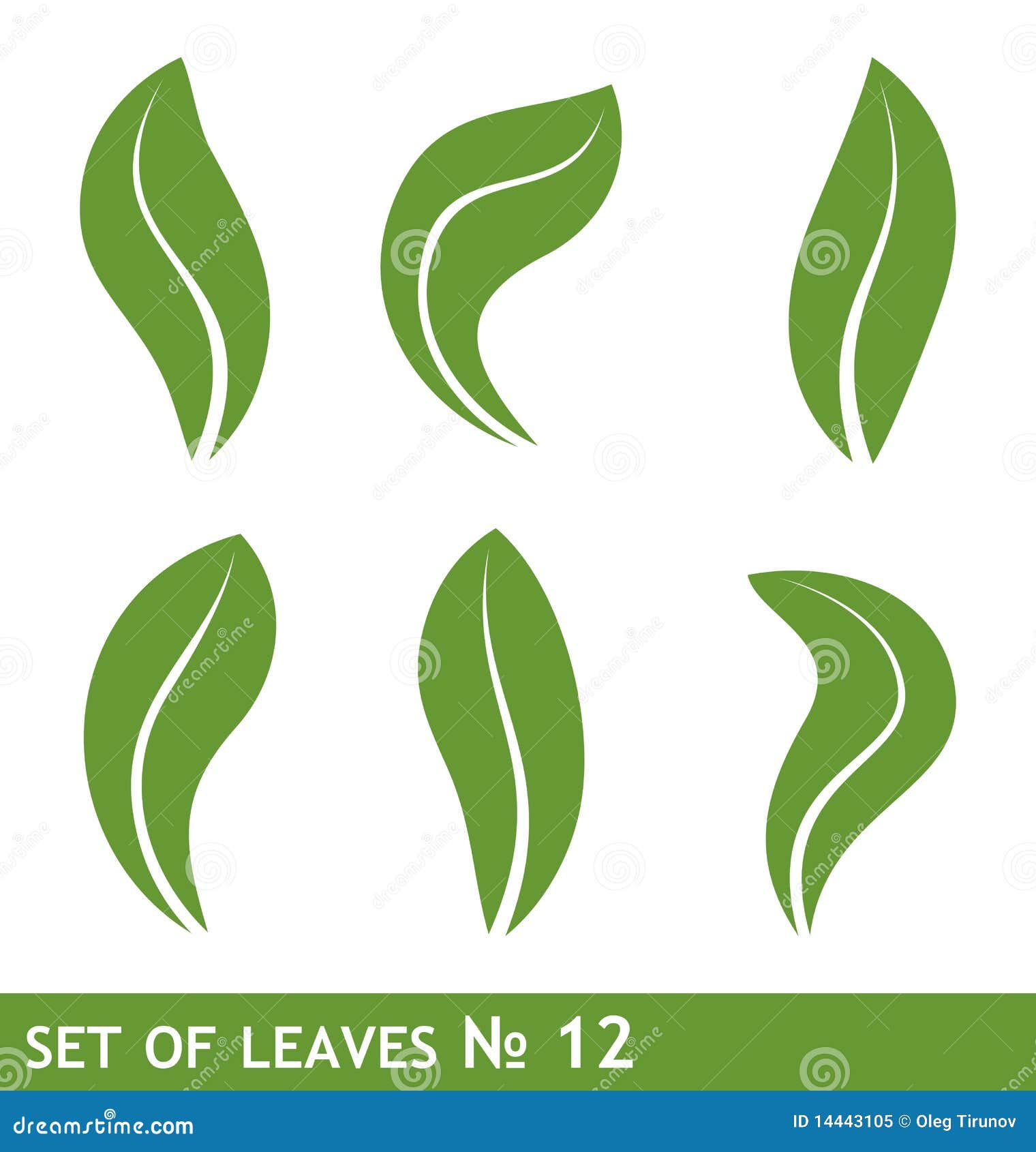 Leaves set for design stock vector. Illustration of plant - 14443105