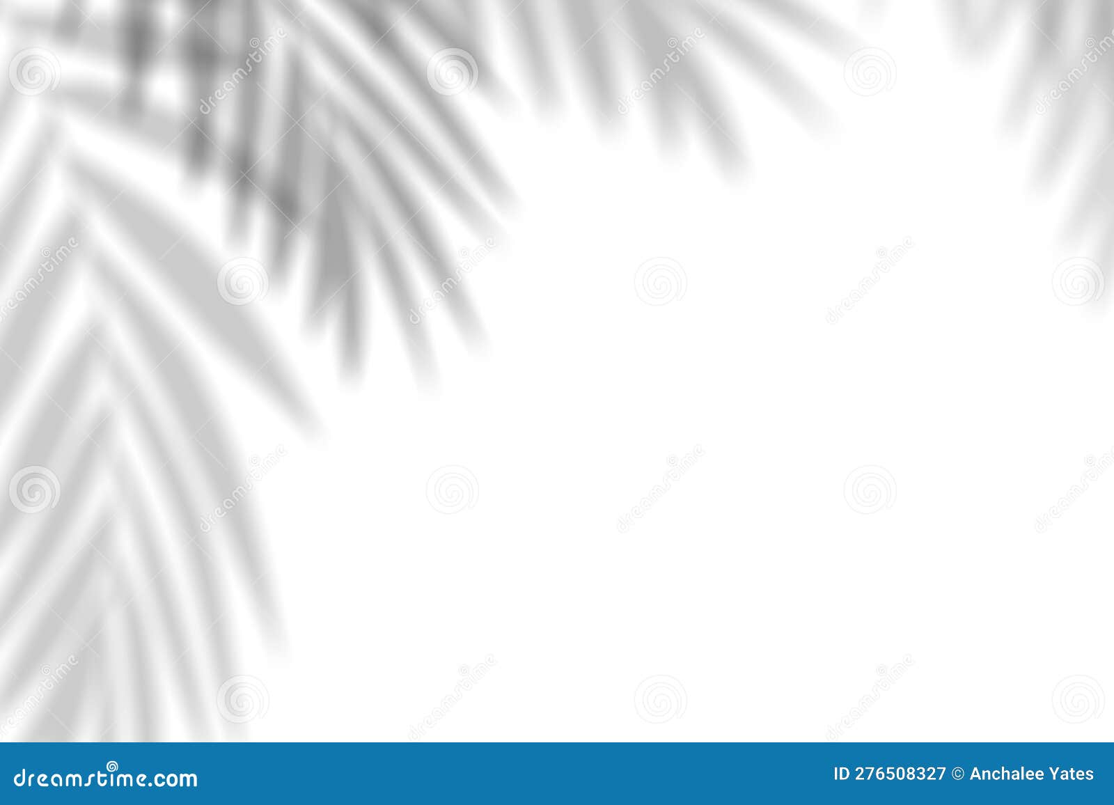 Leaves Shadow, Coconut Palm Leaf Overlay on White Background Stock ...