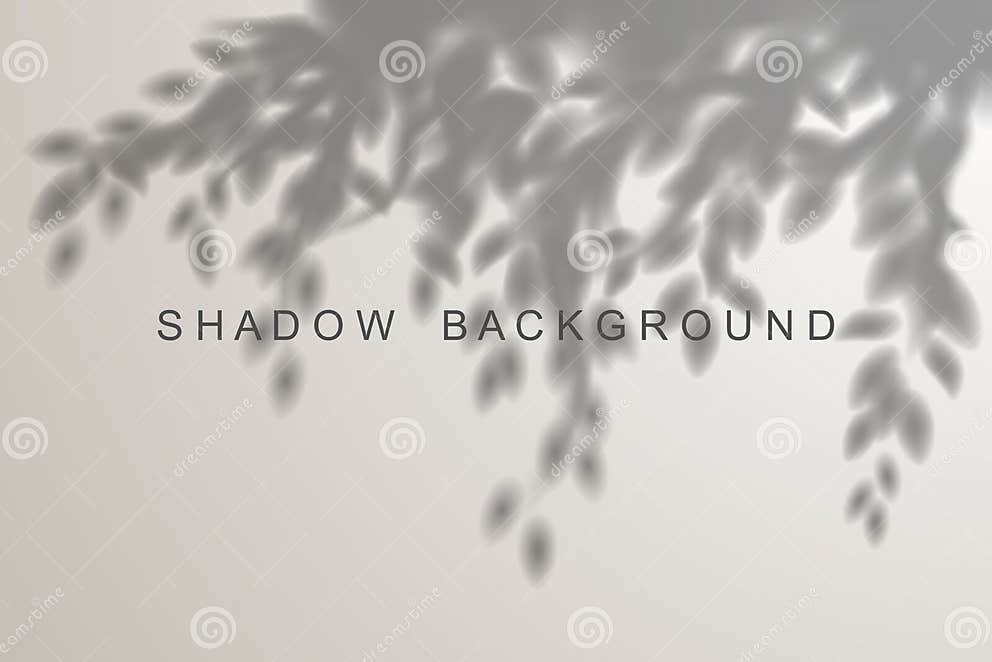 Leaves Shadow Effect on White Background Stock Vector - Illustration of ...