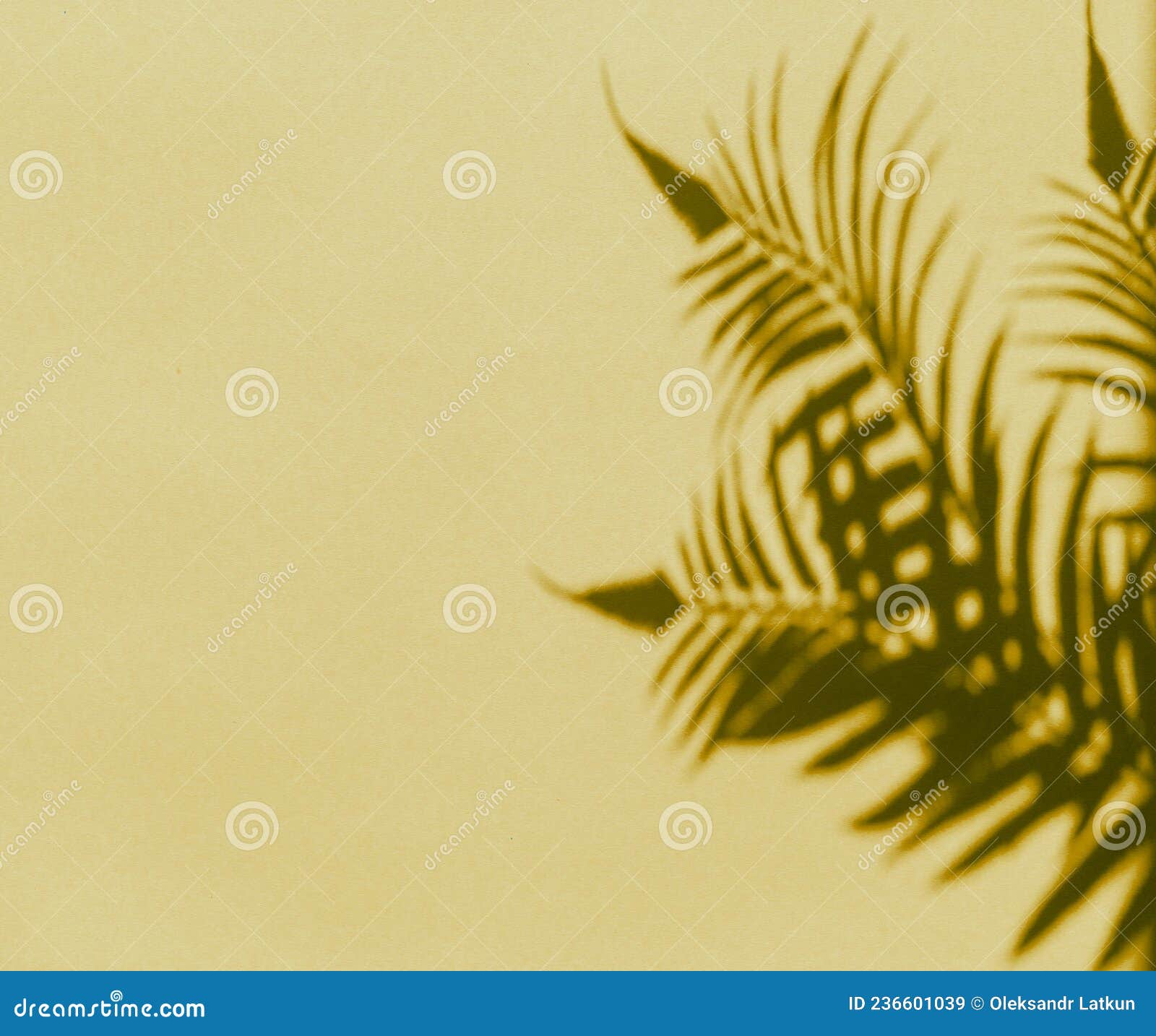 Leaves Shadow Light Surface. High Quality Photo Stock Image - Image of ...