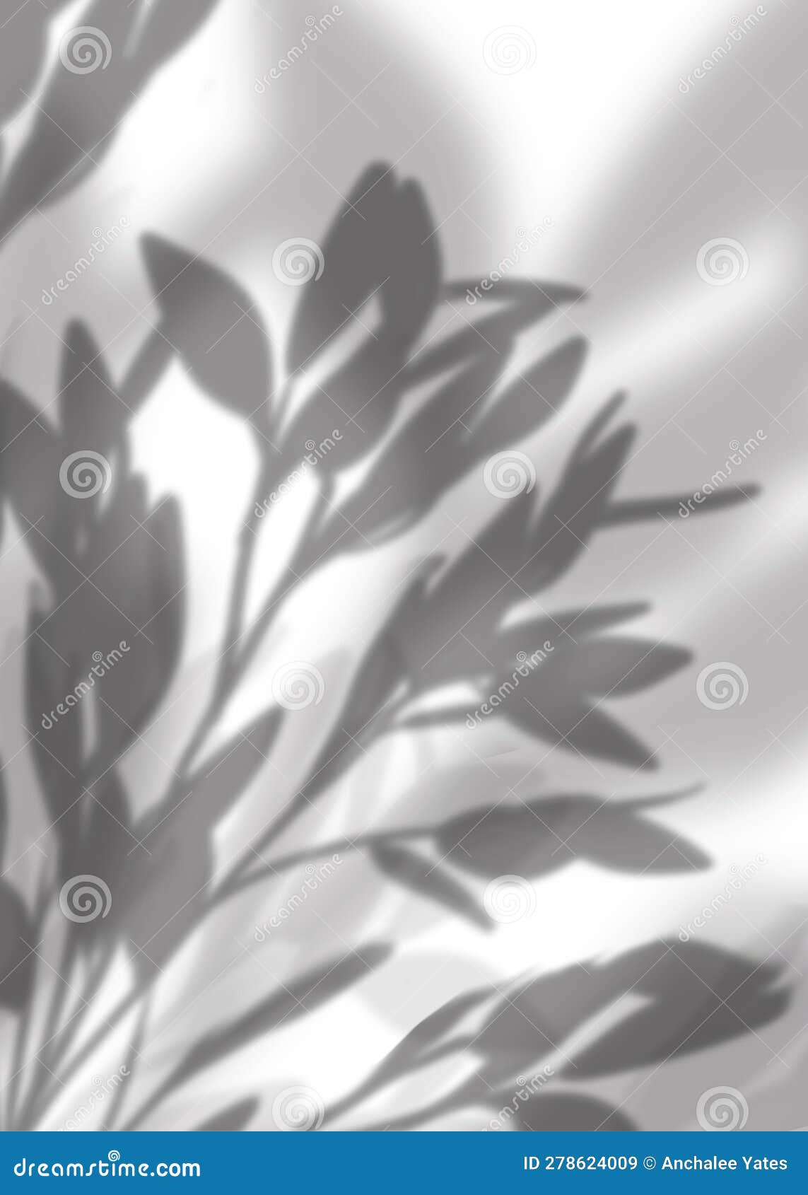 Leaves Shadow Overlay, Isolated Branches Leaves..Leaves Shadow Overlay ...