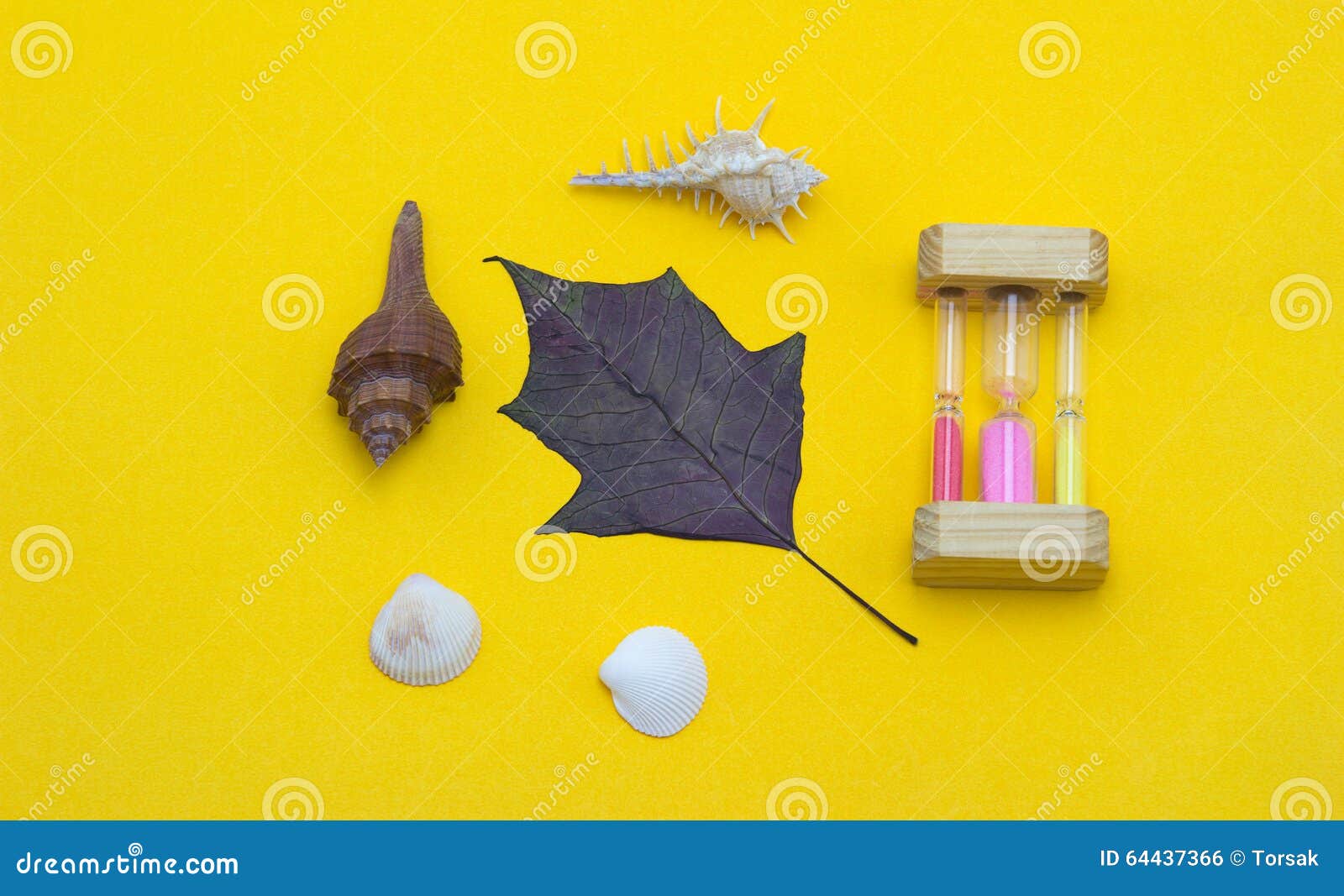 Leaves with Shells Placed on the Yellow Paper. Stock Photo - Image of ...