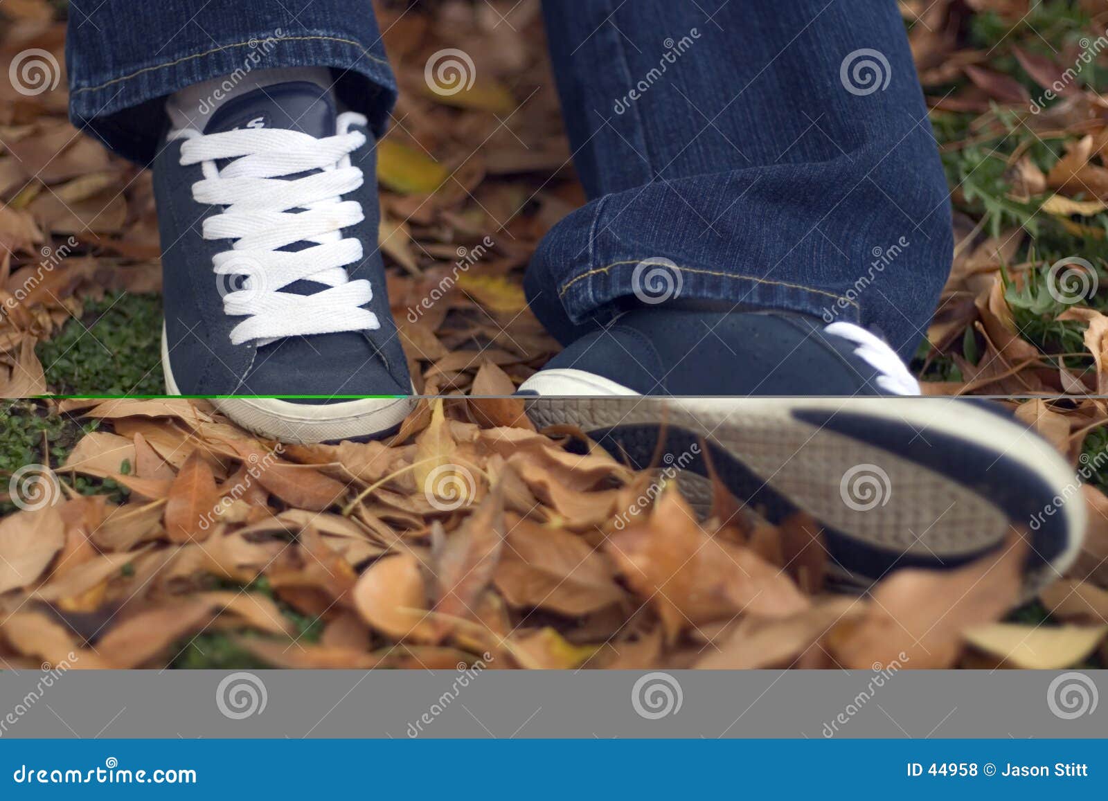 Leaves Shoes stock photo. Image of leaves, leaf, fall, shoe - 44958