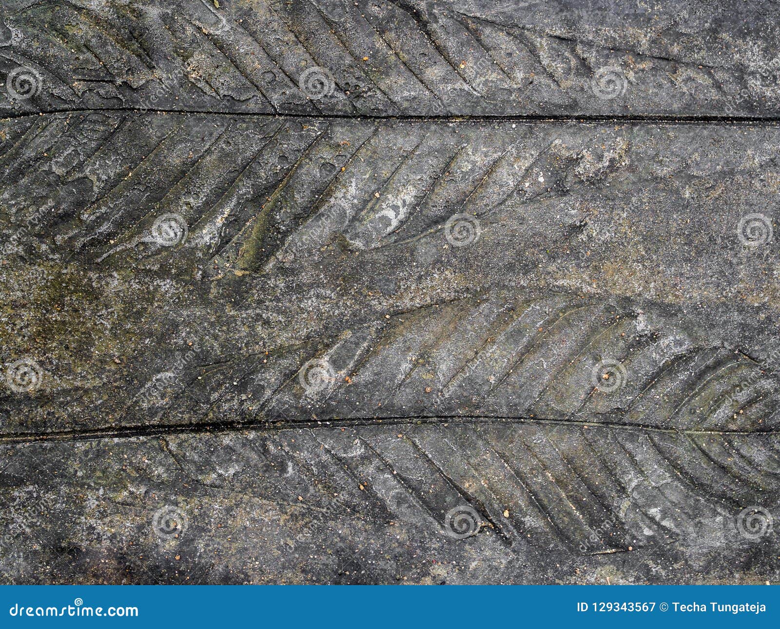 Leaves Stamp Pattern stock image. Image of concept, ancient - 129343567