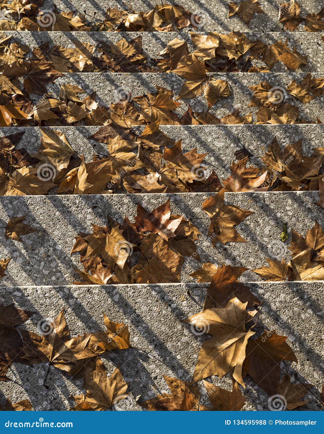 Leaves on Steps Symbolizing End of Autumn Stock Photo - Image of tree ...