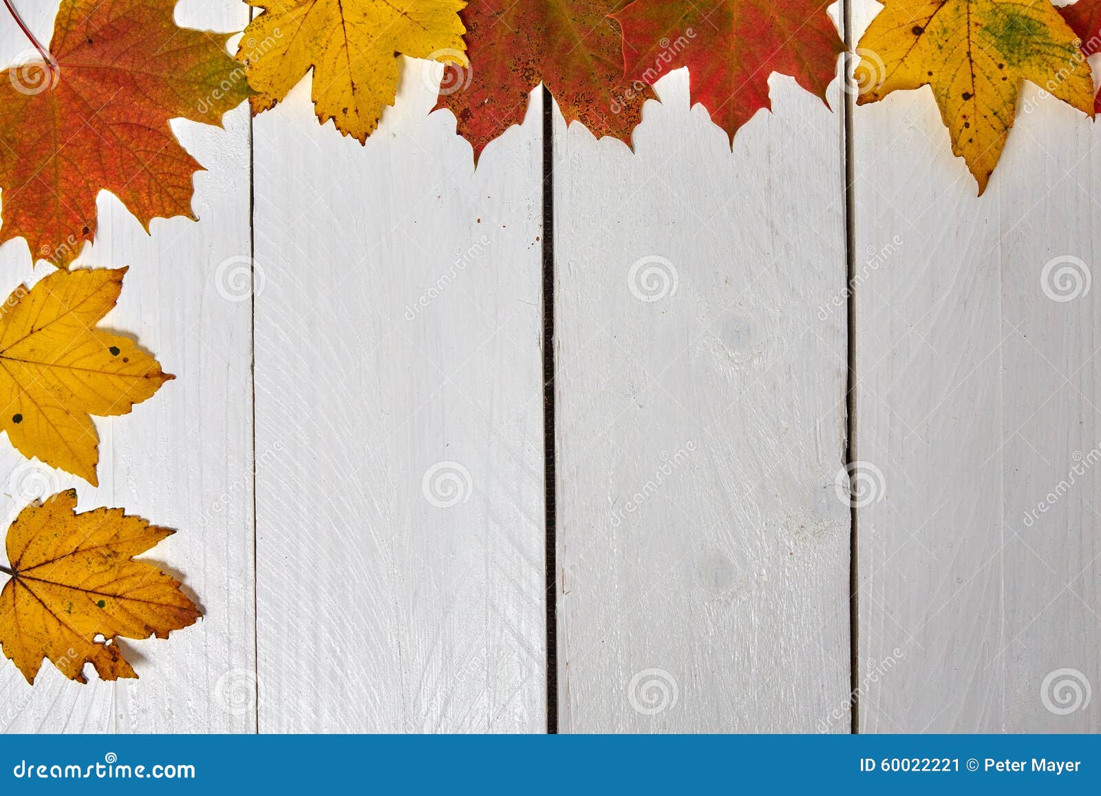 Leaves on table stock image. Image of board, leaf, background - 60022221