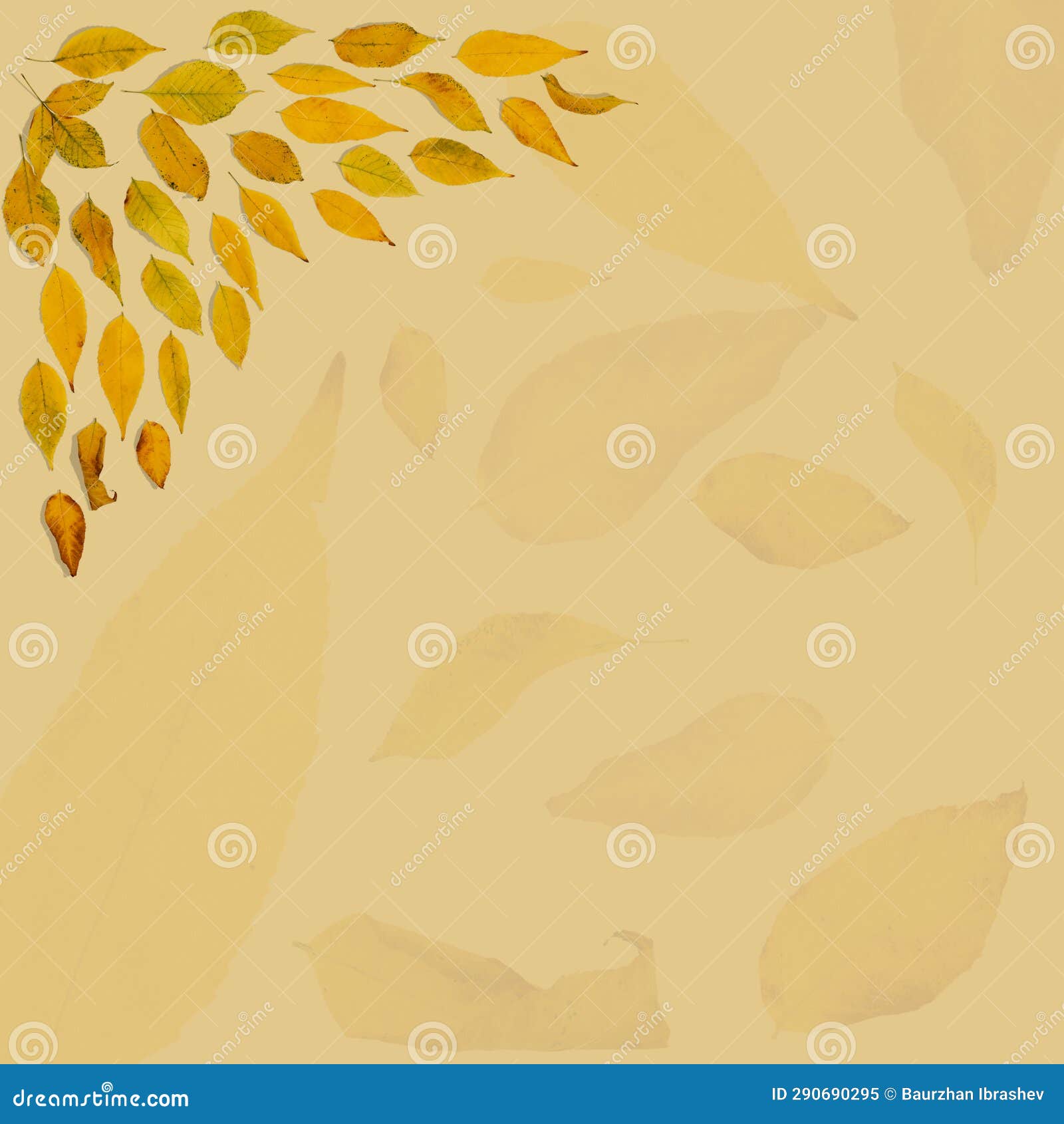 Leaves on a Textured Background. Autumn Theme with Space for Text Stock ...