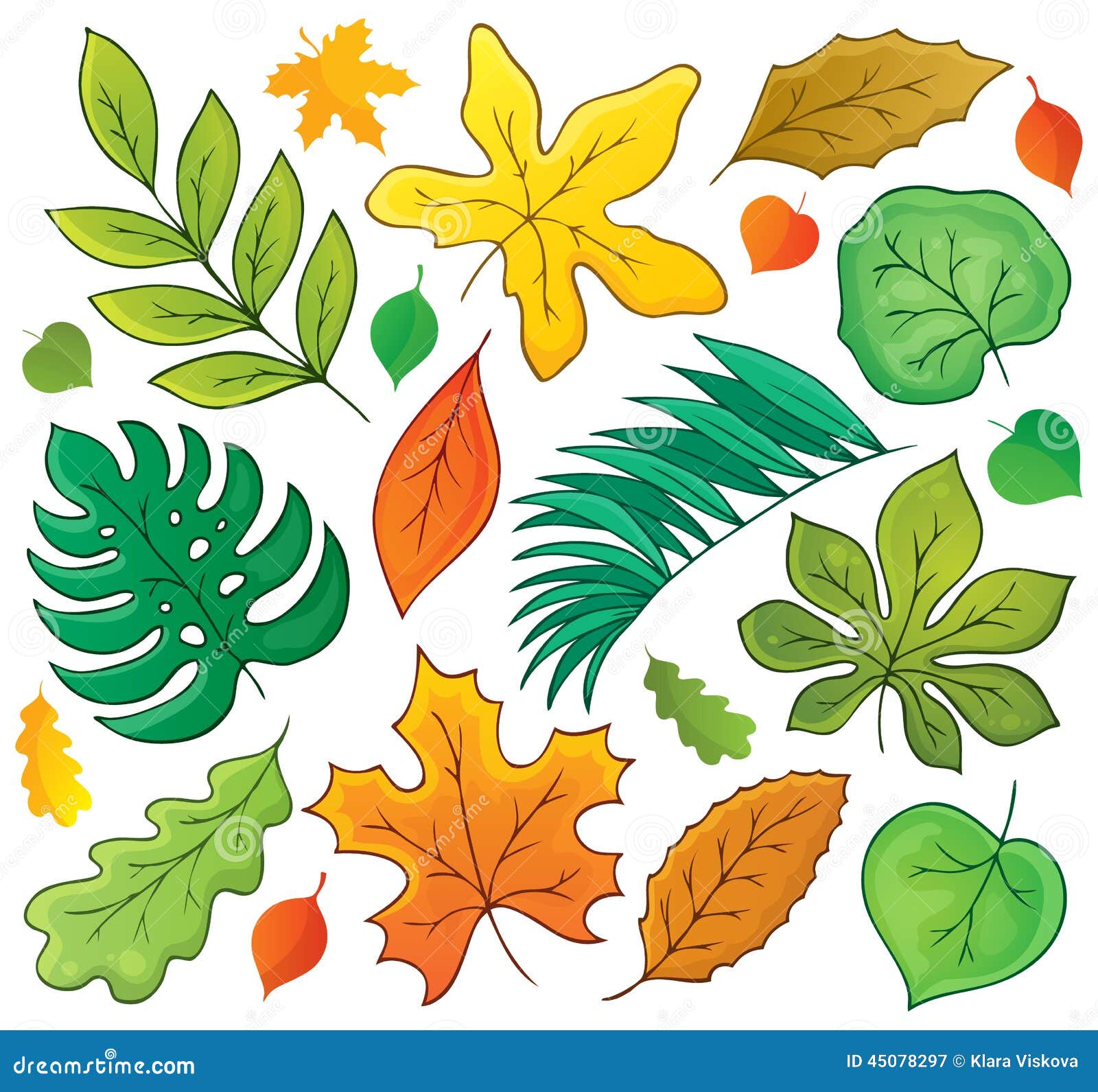 Leaves theme collection 1 stock vector. Illustration of leaf - 45078297