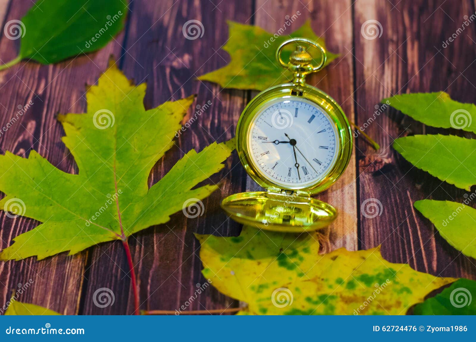 Leaves theme stock photo. Image of mood, aroma, season - 62724476
