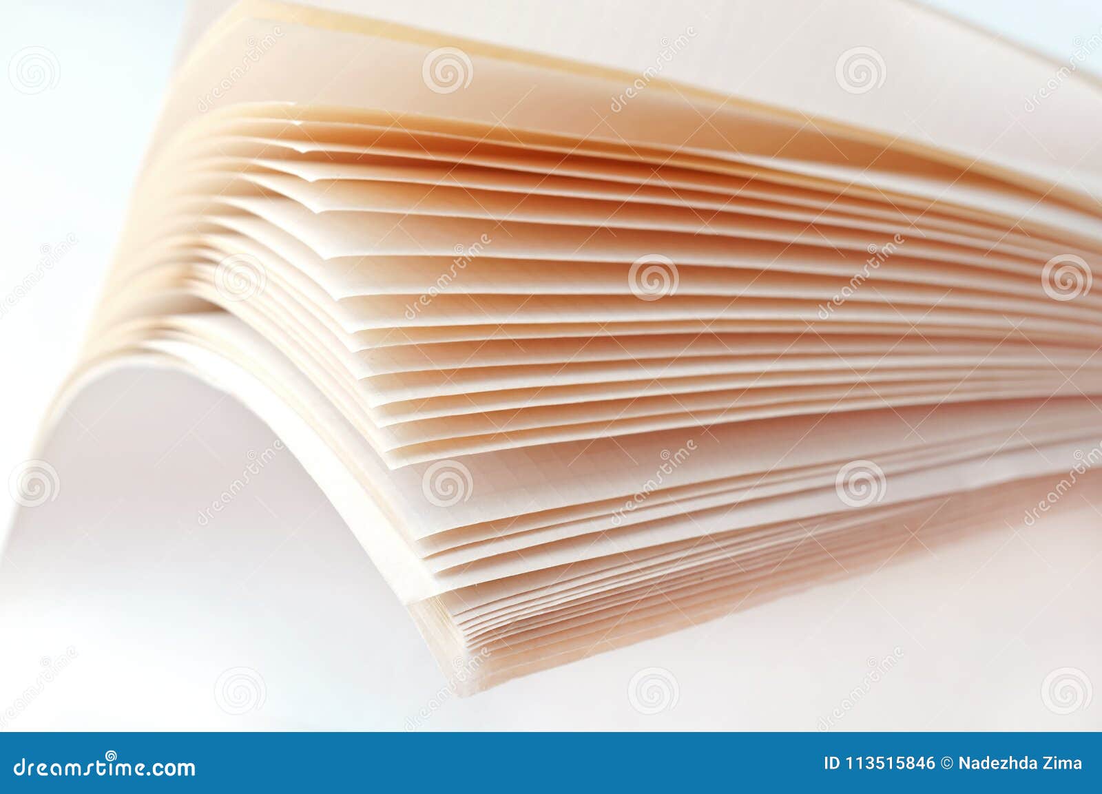 The Leaves are Thick Notebook, the Leaves of a Notebook, Half-open ...