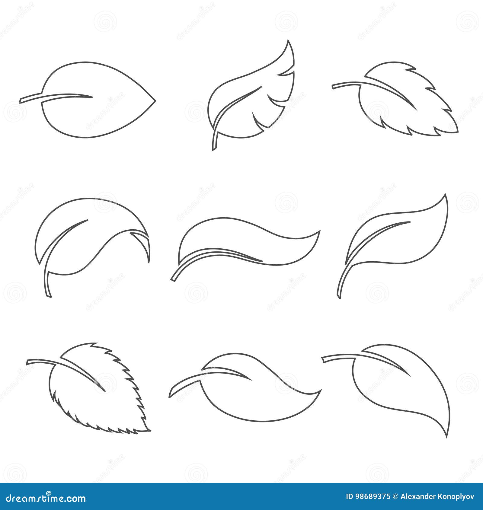Leaves Thin Icon Vector Set Stock Vector - Illustration of growth ...