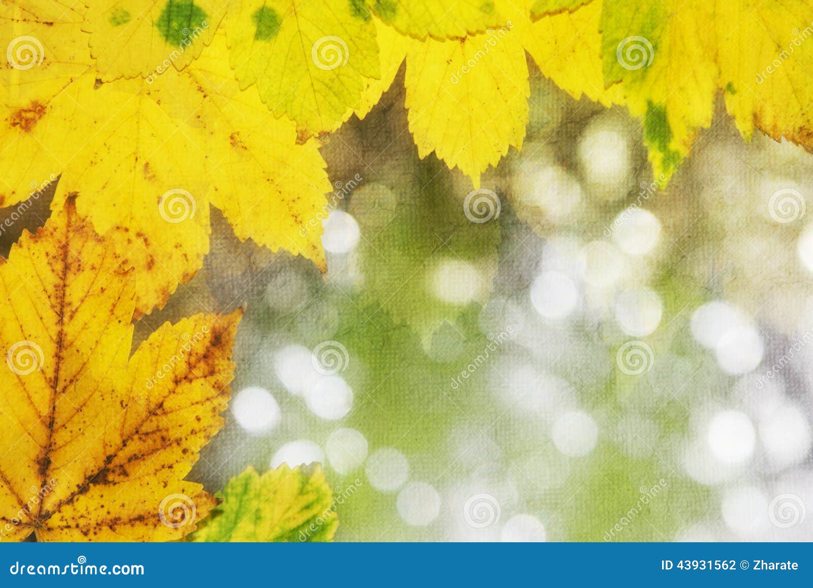 Leaves stock photo. Image of ideas, plant, close, freshness - 43931562