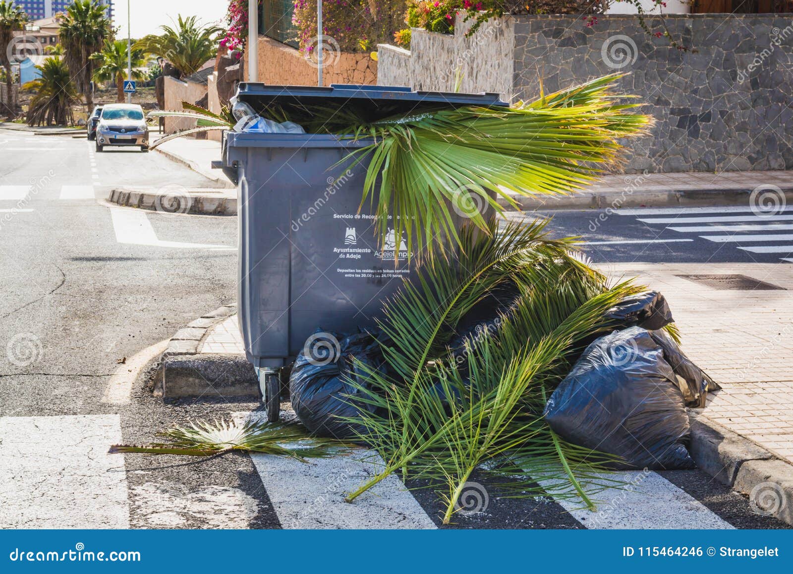 Leaves in trash bin editorial photo. Image of cleanup - 115464246