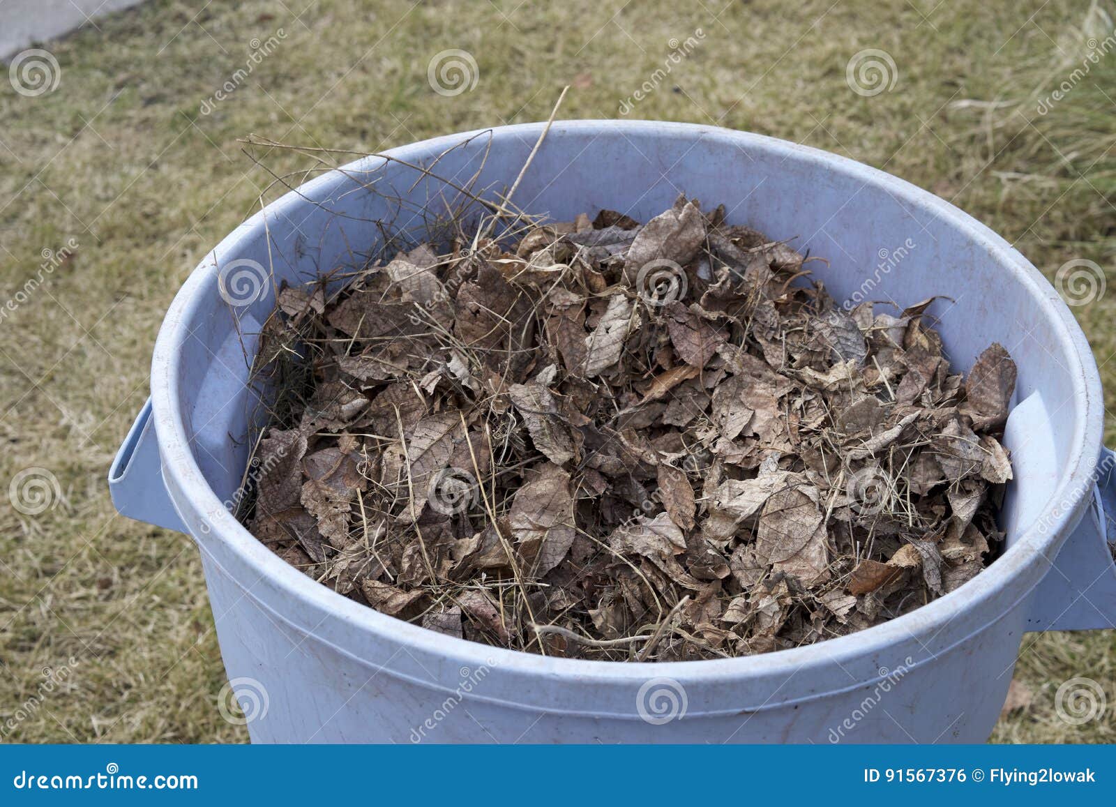 Leaves in Trash Can stock photo. Image of horizontal - 91567376