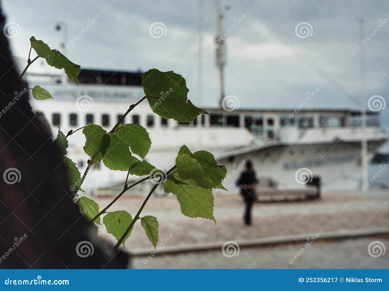 Leaves on Tree in Front of Ship in City Stock Image - Image of city ...