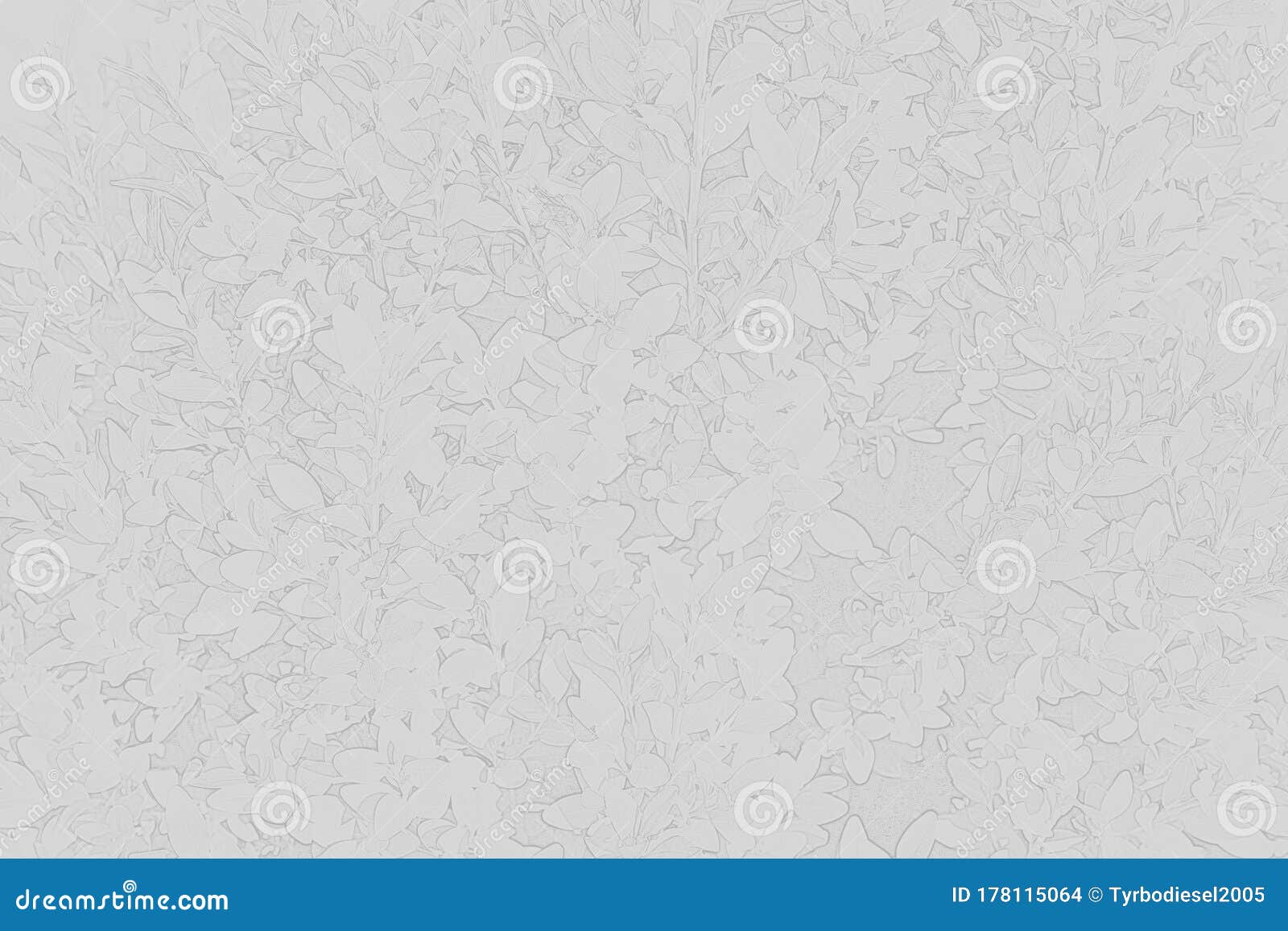 Matte Gray Background