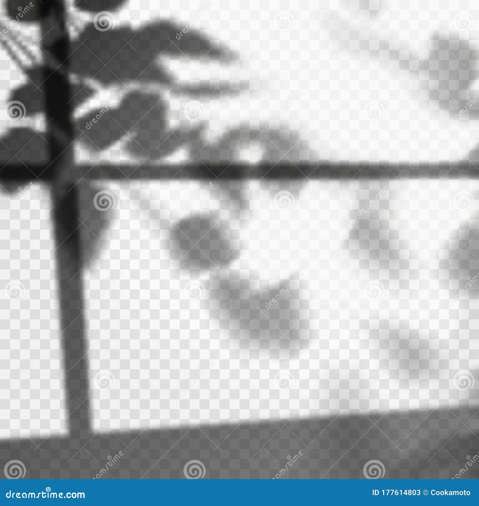 Leaves of Tree Shadow through Window with Light Stock Image - Image of ...