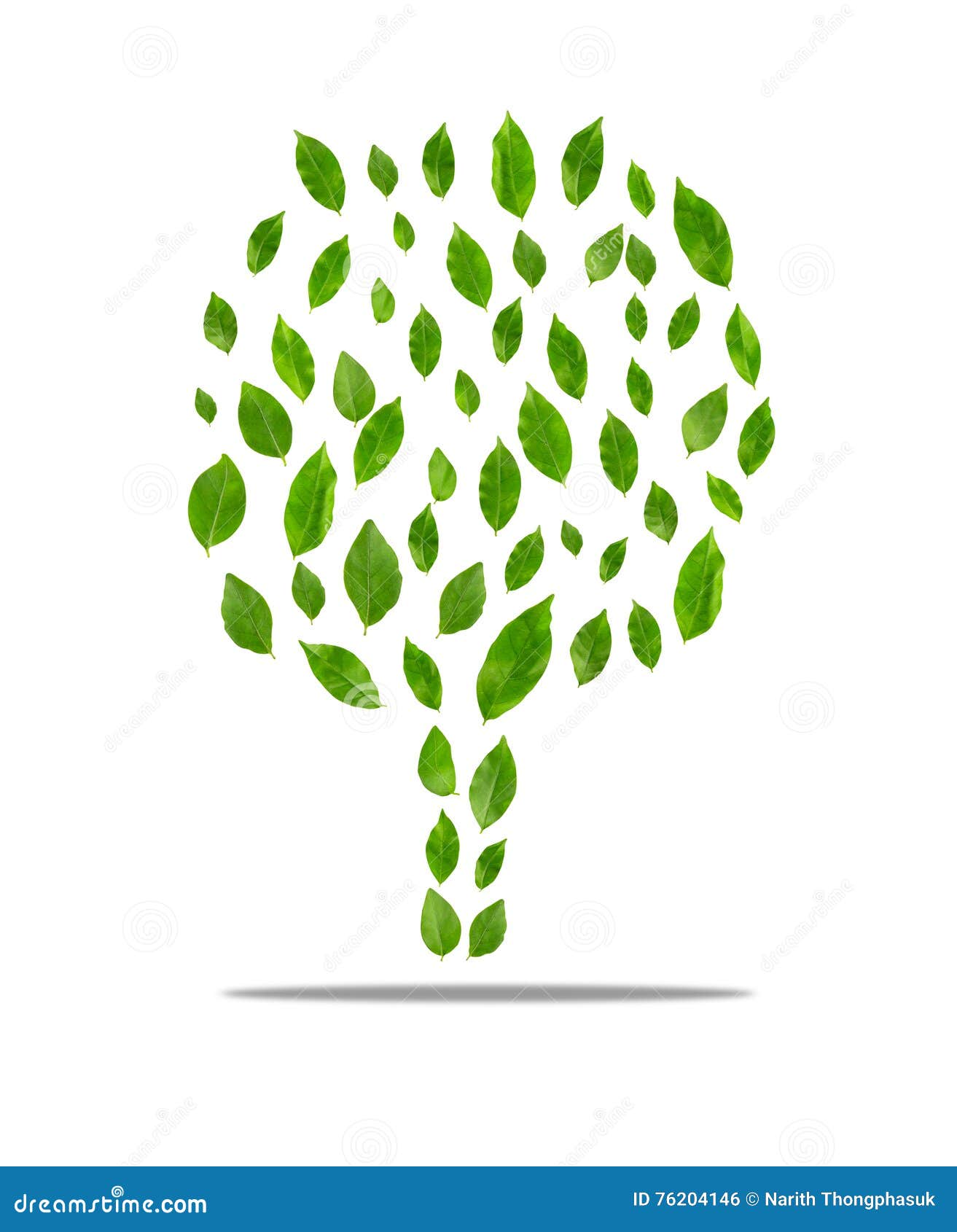 Leaves at Tree Shape Concept Environment Stock Photo - Image of leaf ...