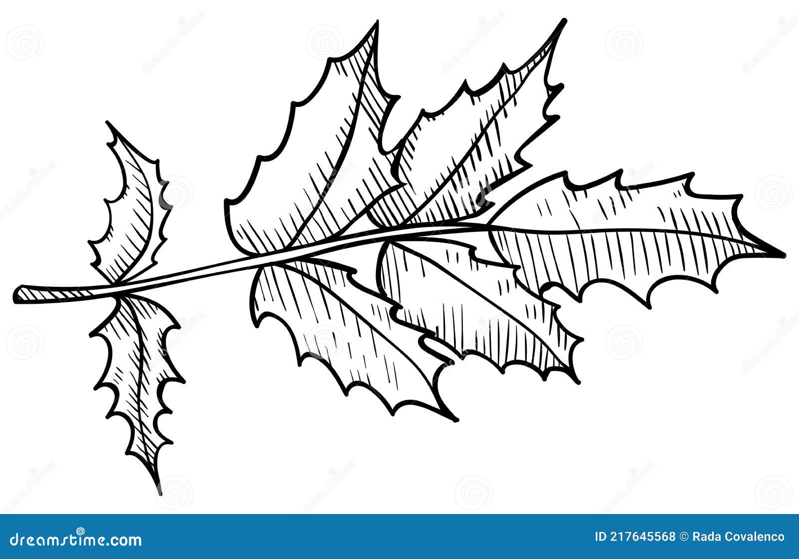 Leaves, Twigs - Design Element in Pencil Drawing Style Stock Vector ...