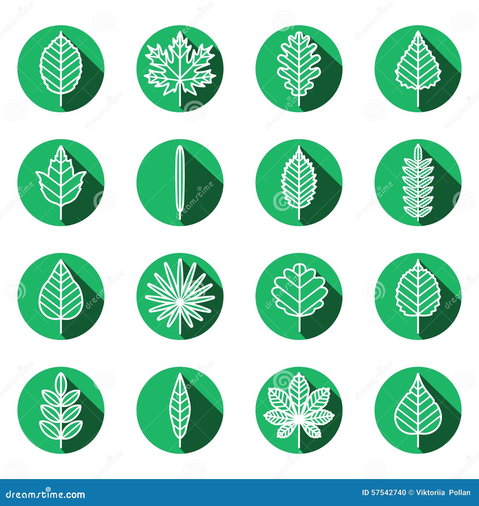 Leaves Types With Names Icons Vector Set. Outline Black Icons ... Leaves Types With Names Icons Vector Set. Outline Black Icons ...