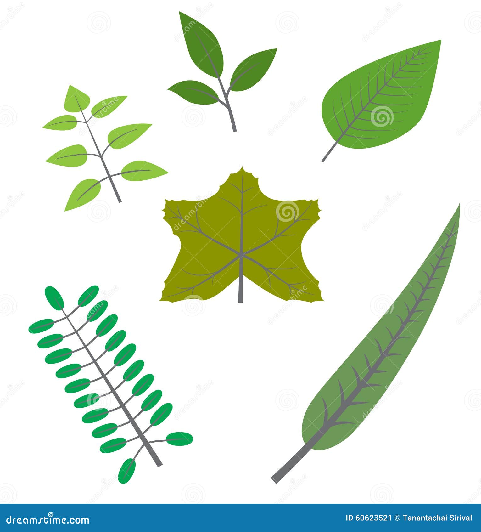 Leaves vector stock vector. Illustration of graphic, element - 60623521