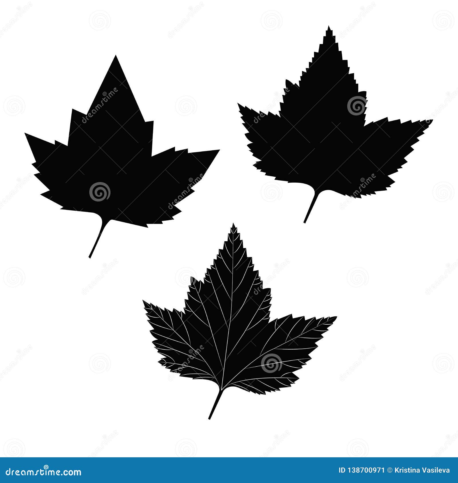 Leaves. Vector Illustration, Isolated on a White Stock Vector ...