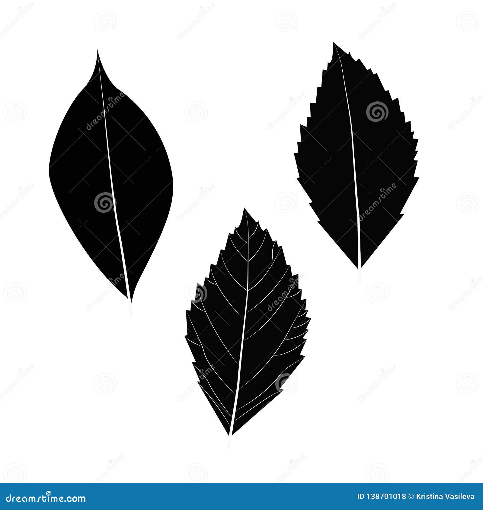 Leaves. Vector Illustration, Isolated on a White Stock Vector ...