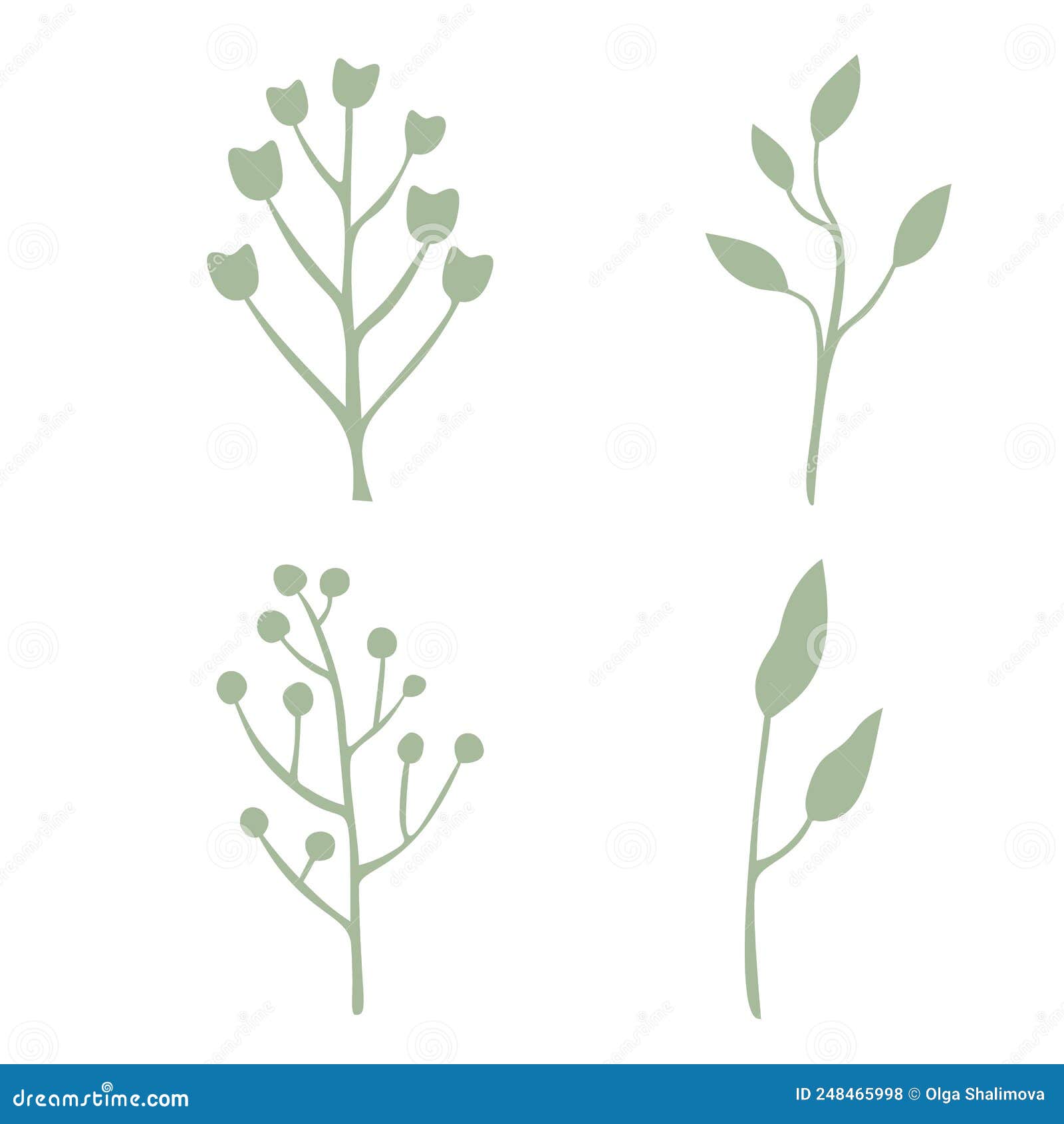 Leaves Vector Set Isolated from the Background Leaves Different Shapes ...
