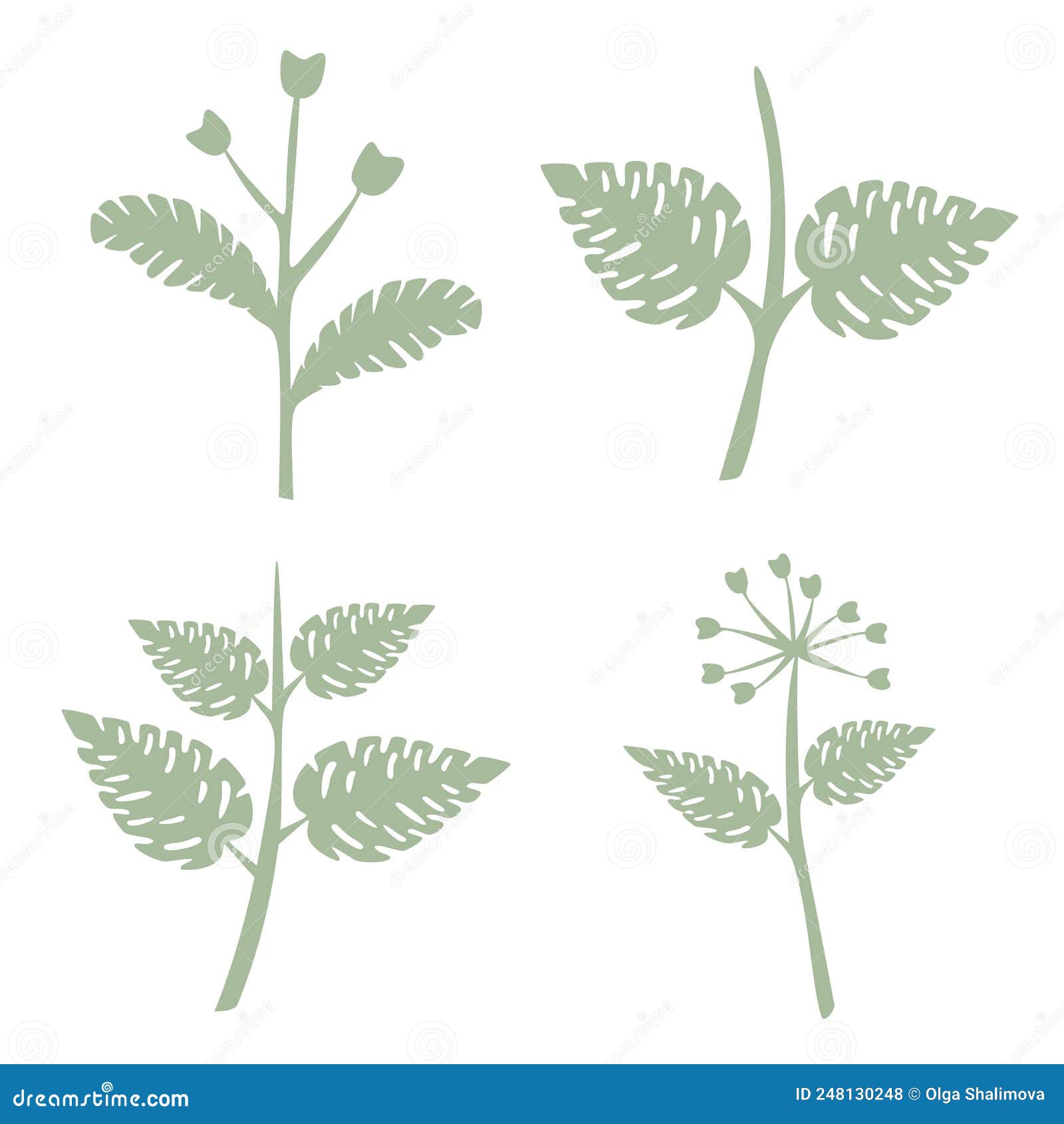 Leaves Vector Set Isolated from the Background Leaves Different Shapes ...
