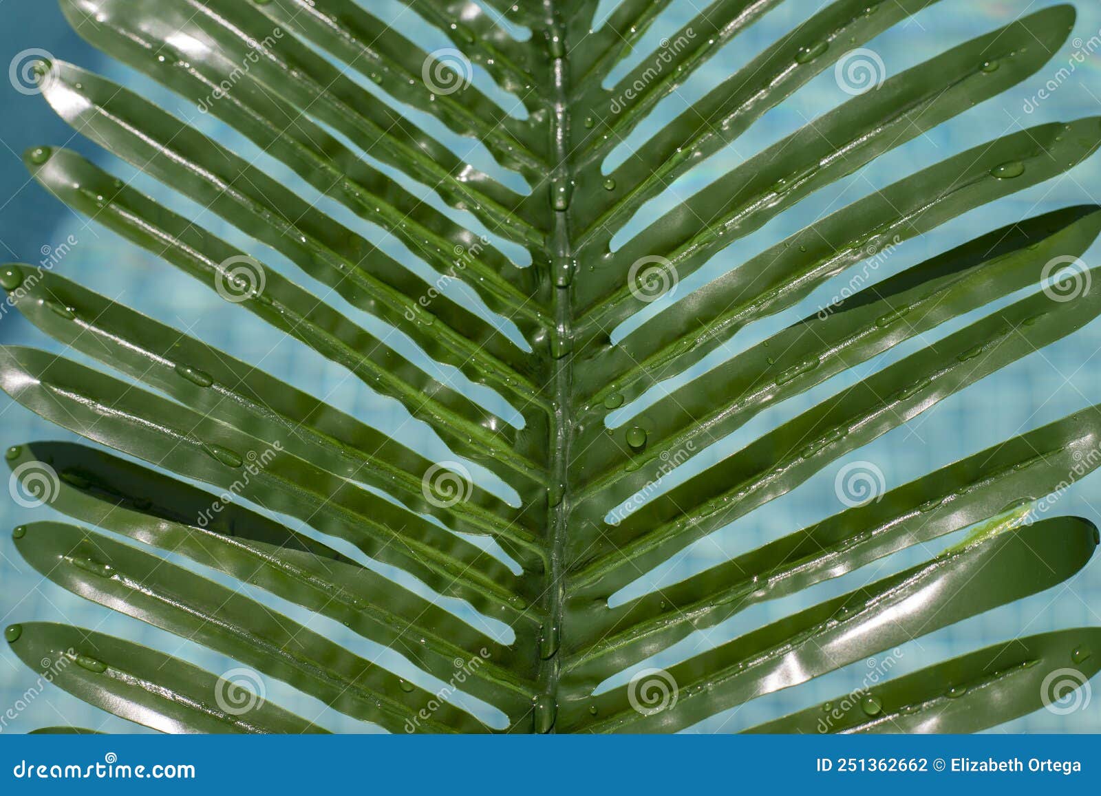 Leaves on the Water, Palm Leaves in the Pool, Green Tiled Pool Stock ...