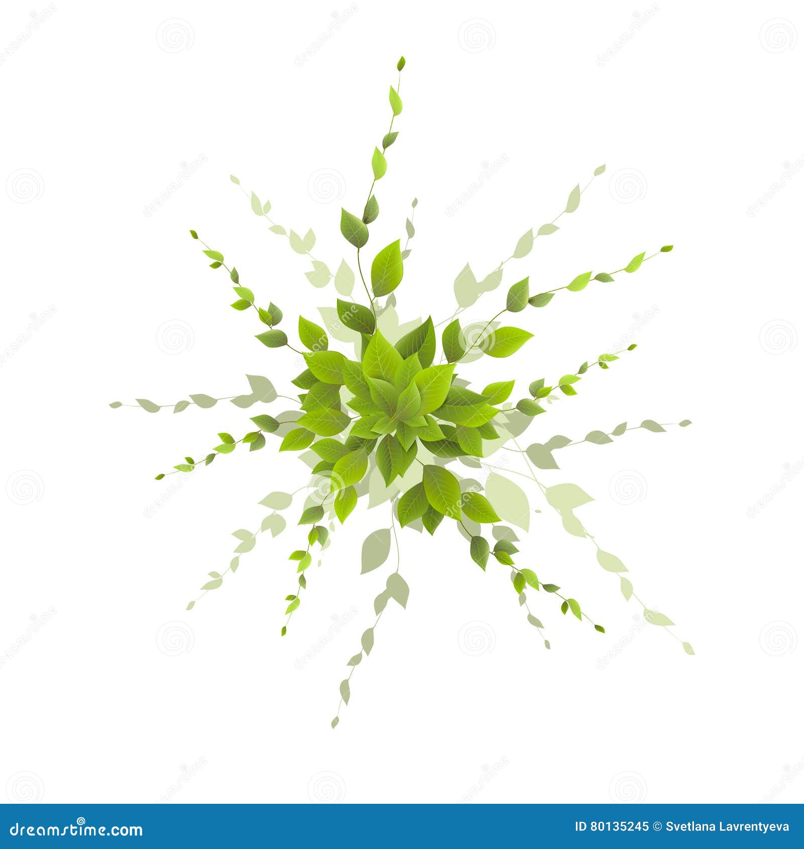 Leaves on a White Background, Isolated on White Background Stock Vector ...