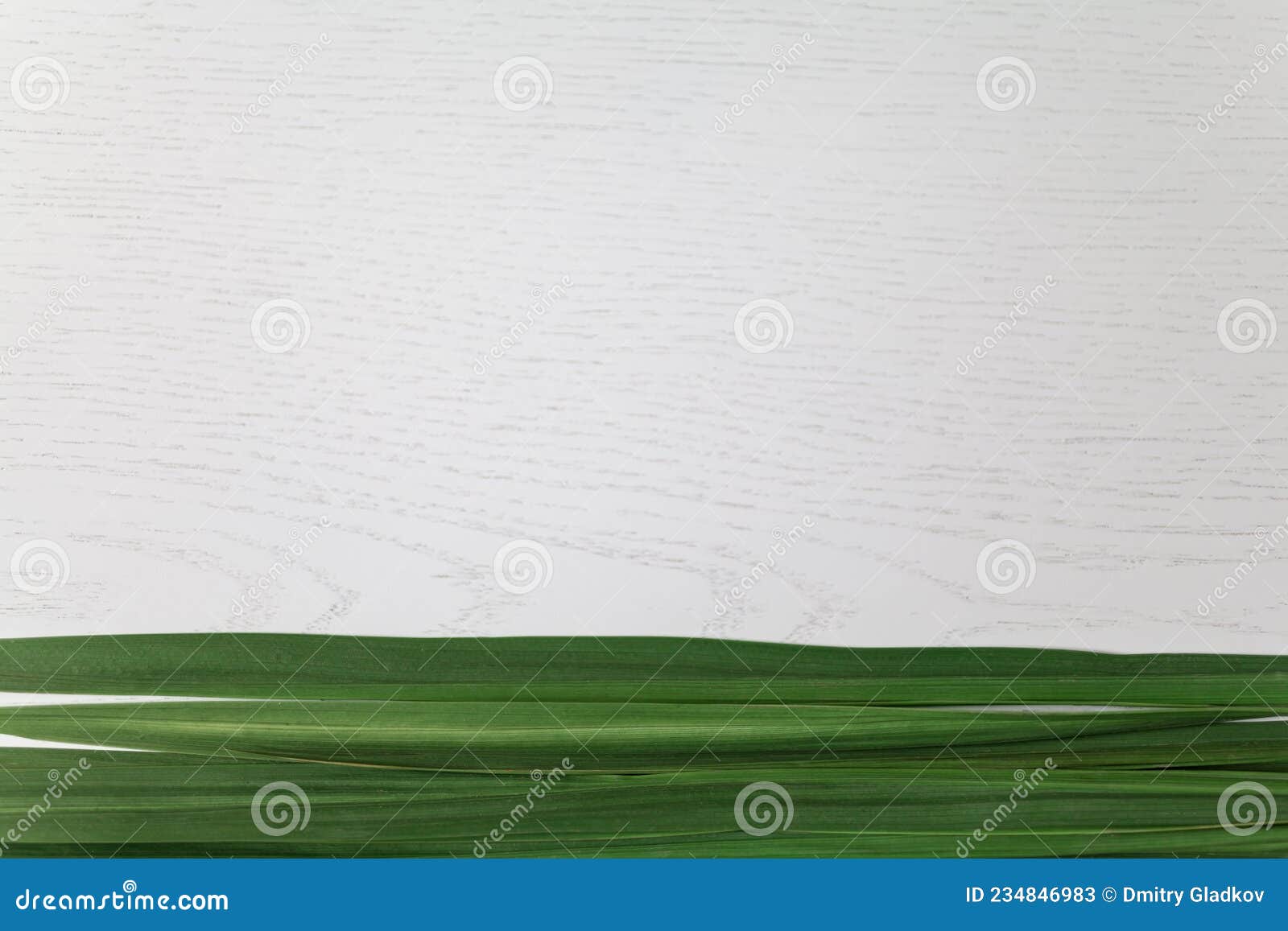 Leaves on White Wooden Background. Blank for Text Stock Image - Image ...
