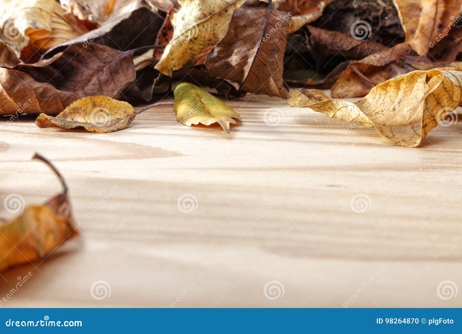 Leaves and Wood stock photo. Image of wood, wooden, background - 98264870