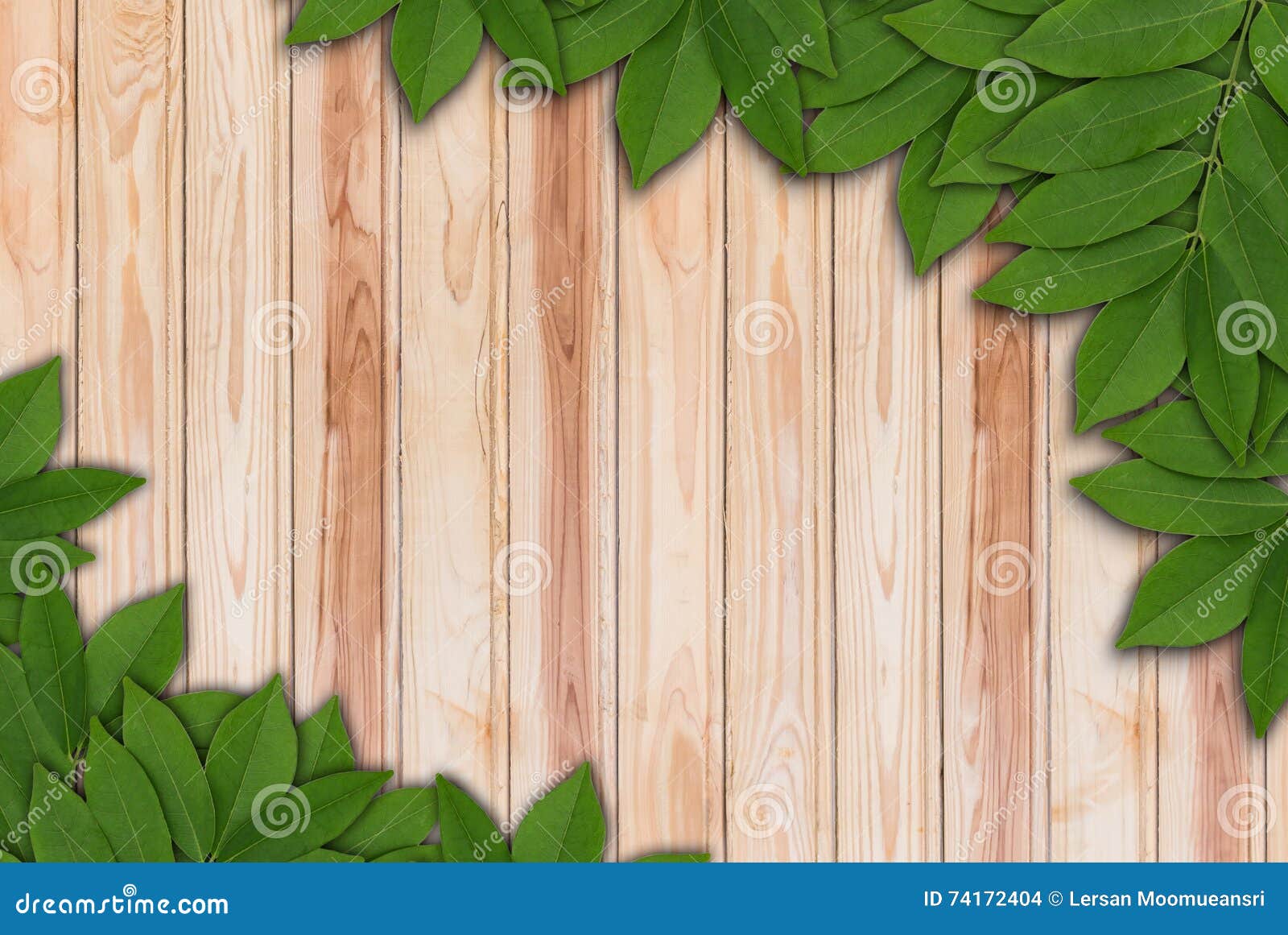 Leaves on Wood Background, Leaves Frame. Stock Photo - Image of brown ...