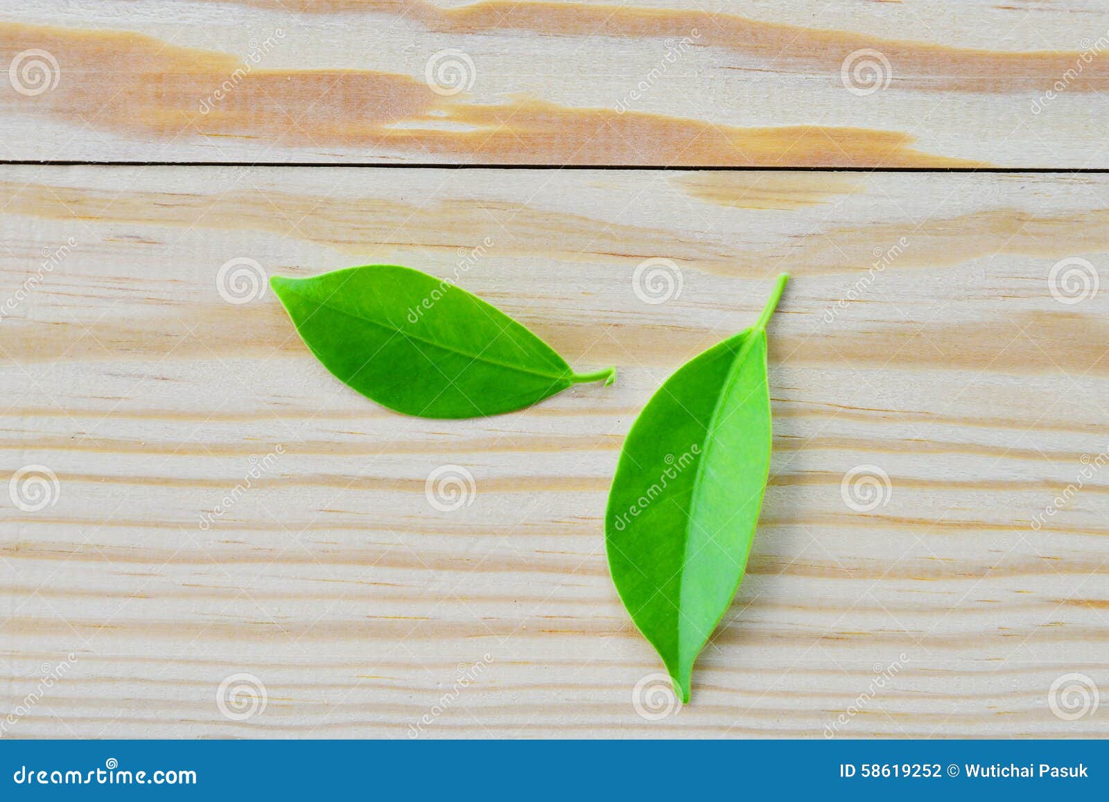 Leaves wood background stock photo. Image of beautiful - 58619252