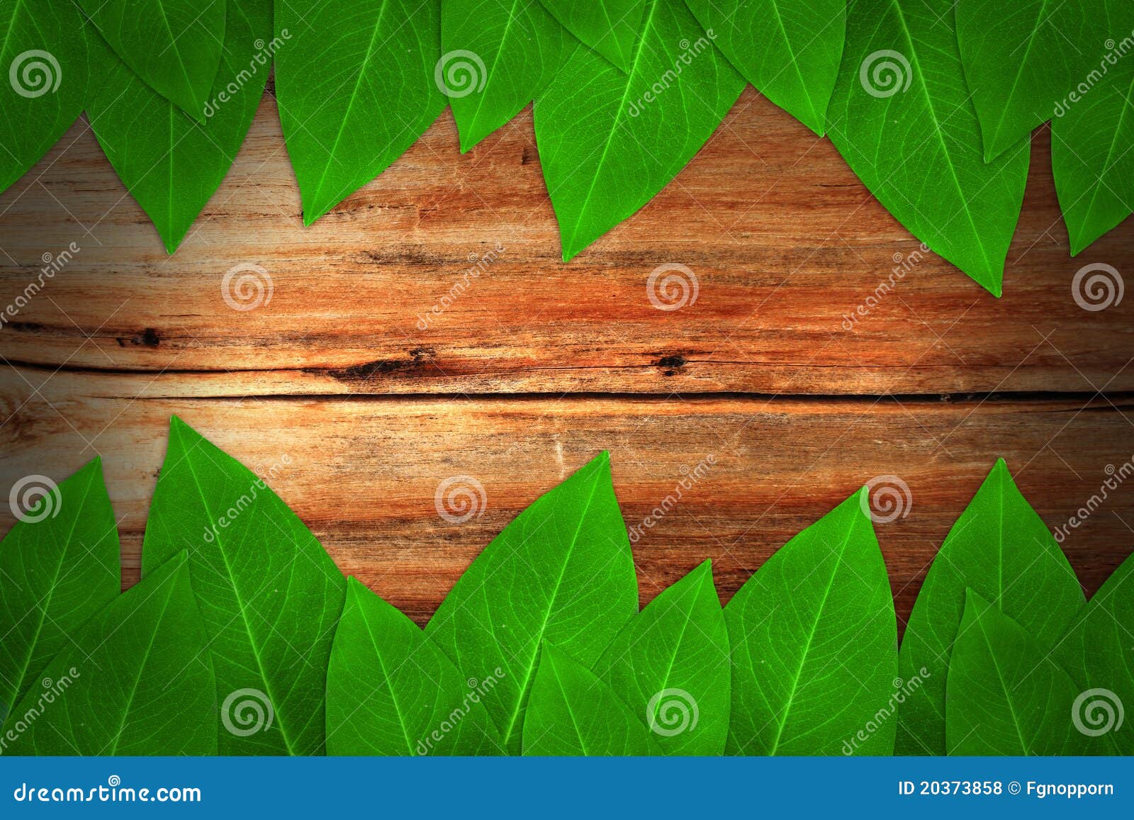 Leaves on wooden board stock photo. Image of background - 20373858
